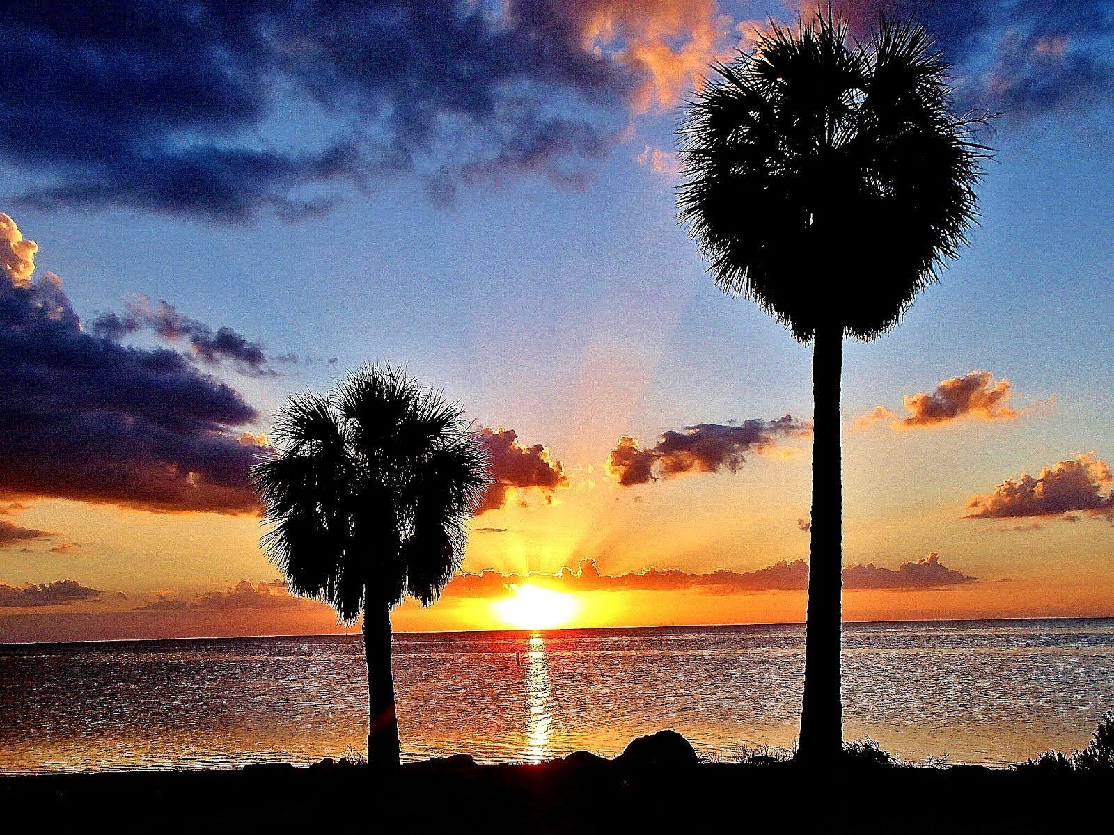 Florida Sunset Wallpapers - Top Free Florida Sunset Backgrounds ...