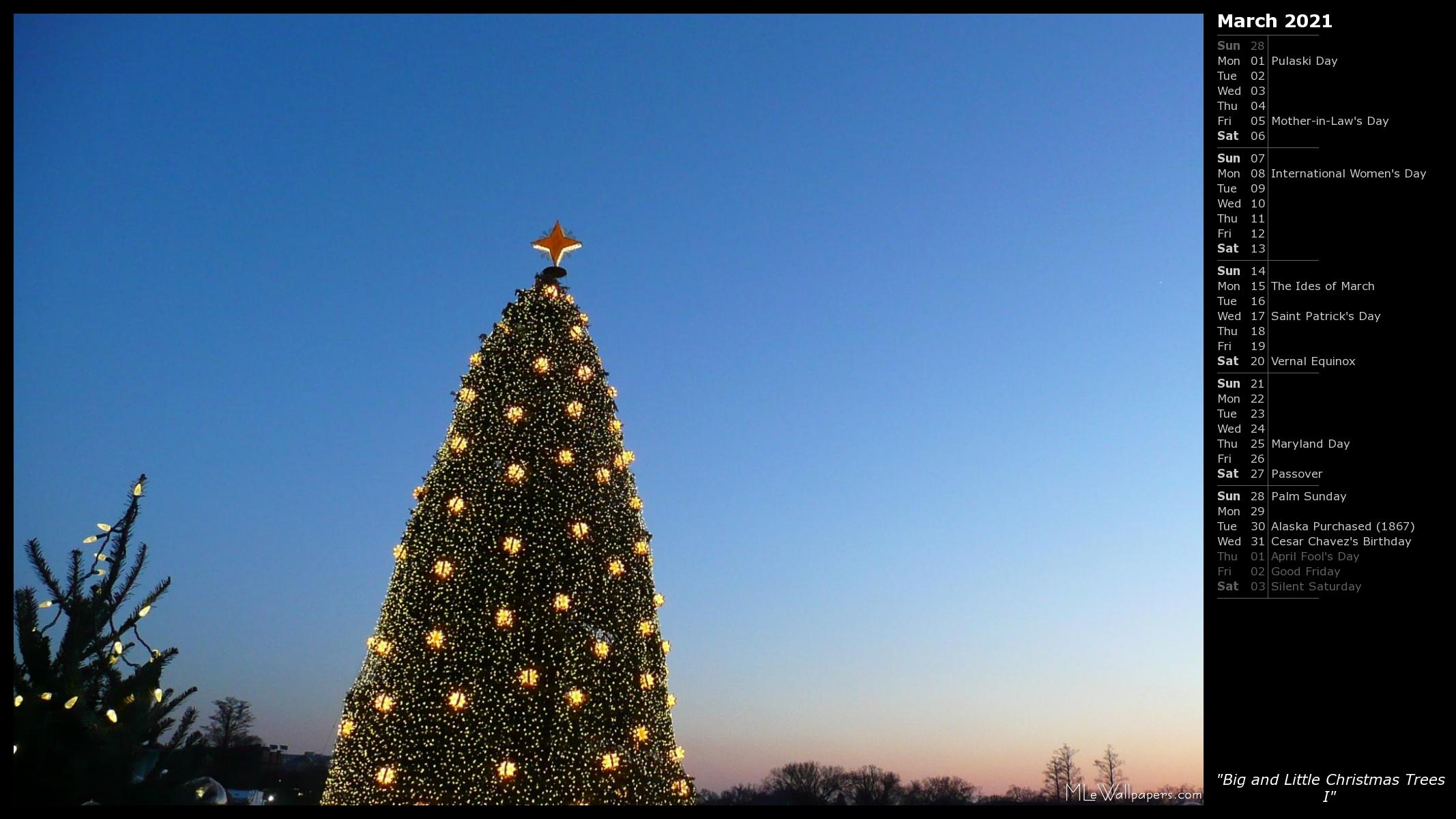 Florida Christmas Wallpapers - Top Free Florida Christmas Backgrounds ...