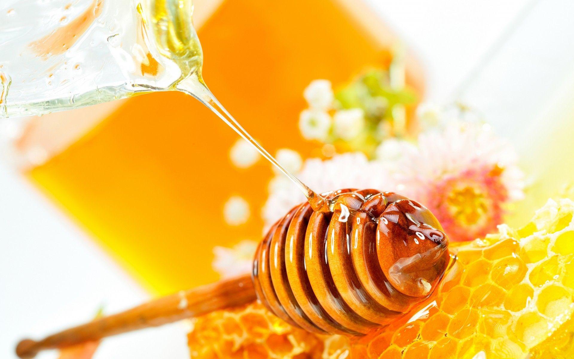 Honey Desktop Wallpapers - Top Free Honey Desktop Backgrounds ...