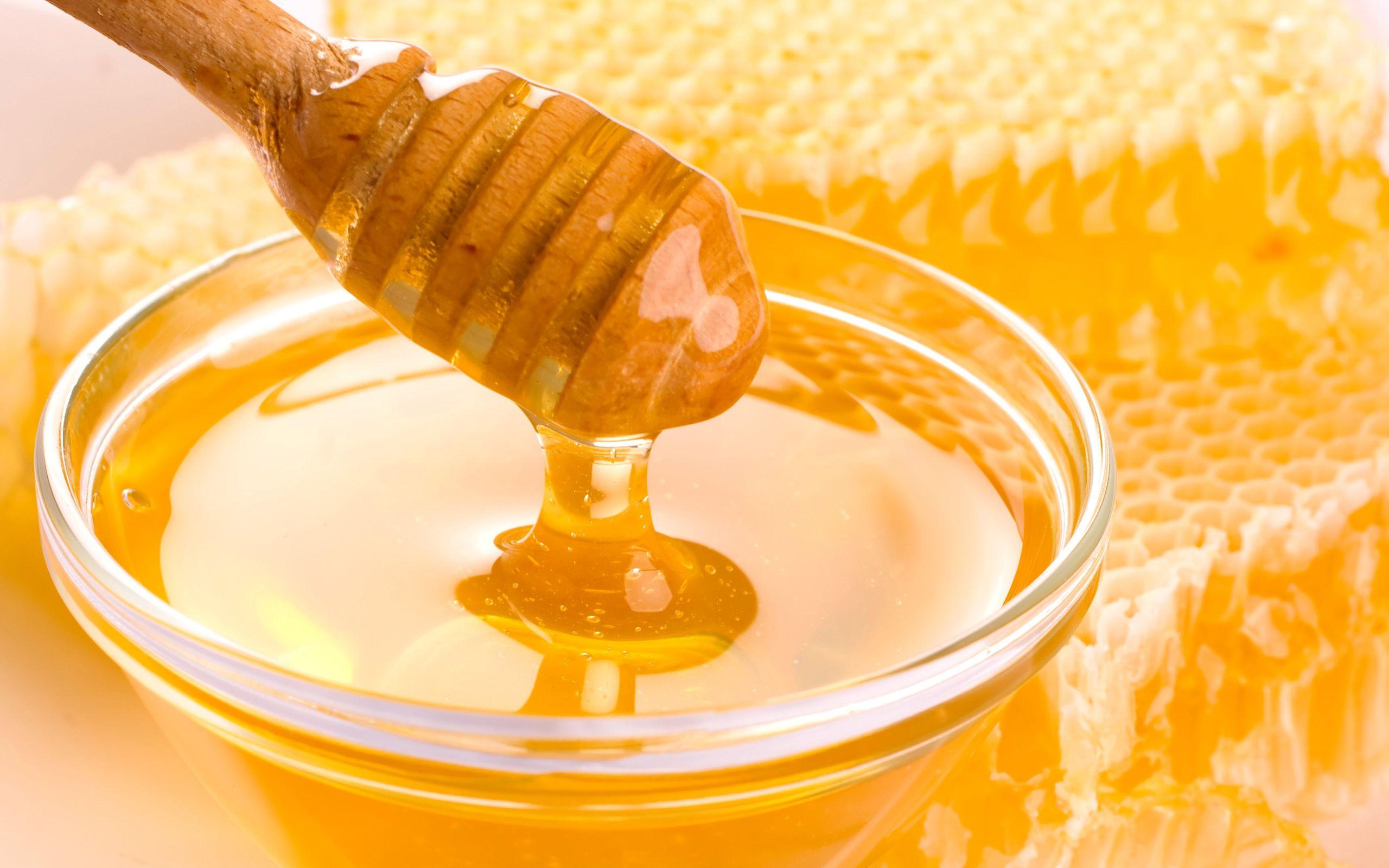 Honey Desktop Wallpapers - Top Free Honey Desktop Backgrounds ...