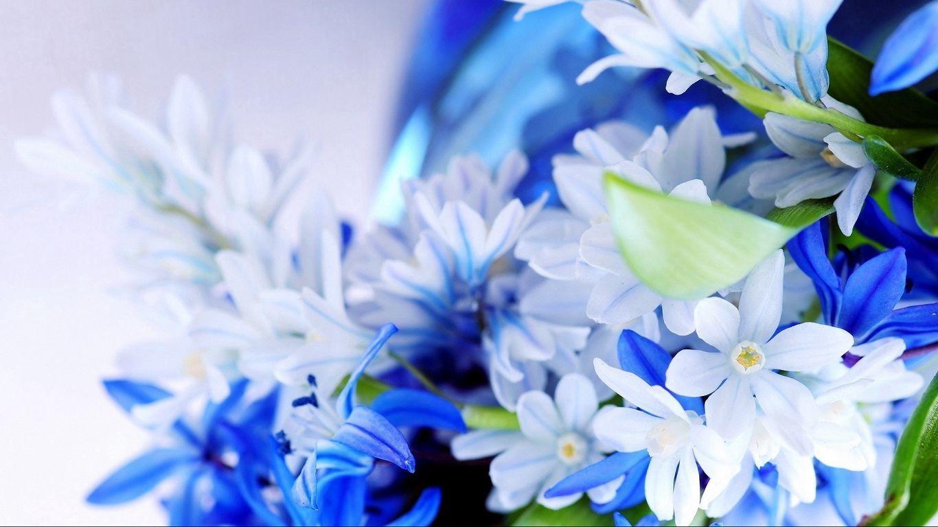 Blue Floral Laptop Wallpapers - Top Free Blue Floral Laptop Backgrounds ...