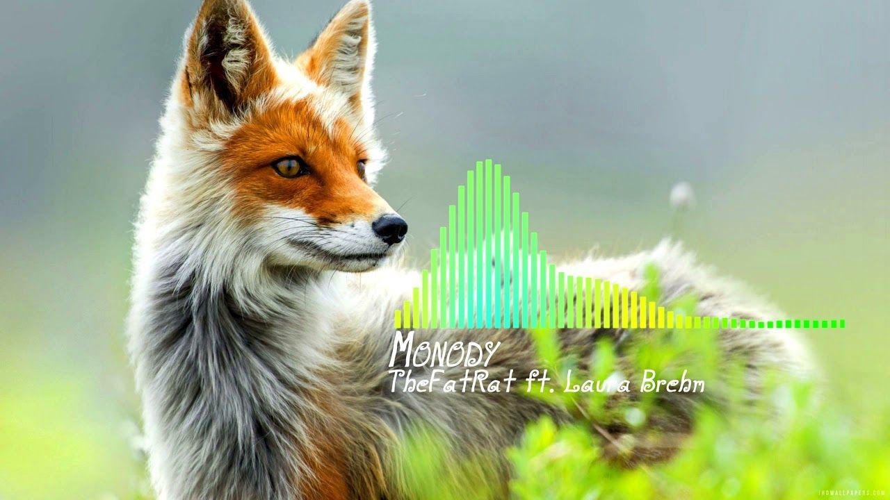 Monody Wallpapers - Top Free Monody Backgrounds - WallpaperAccess