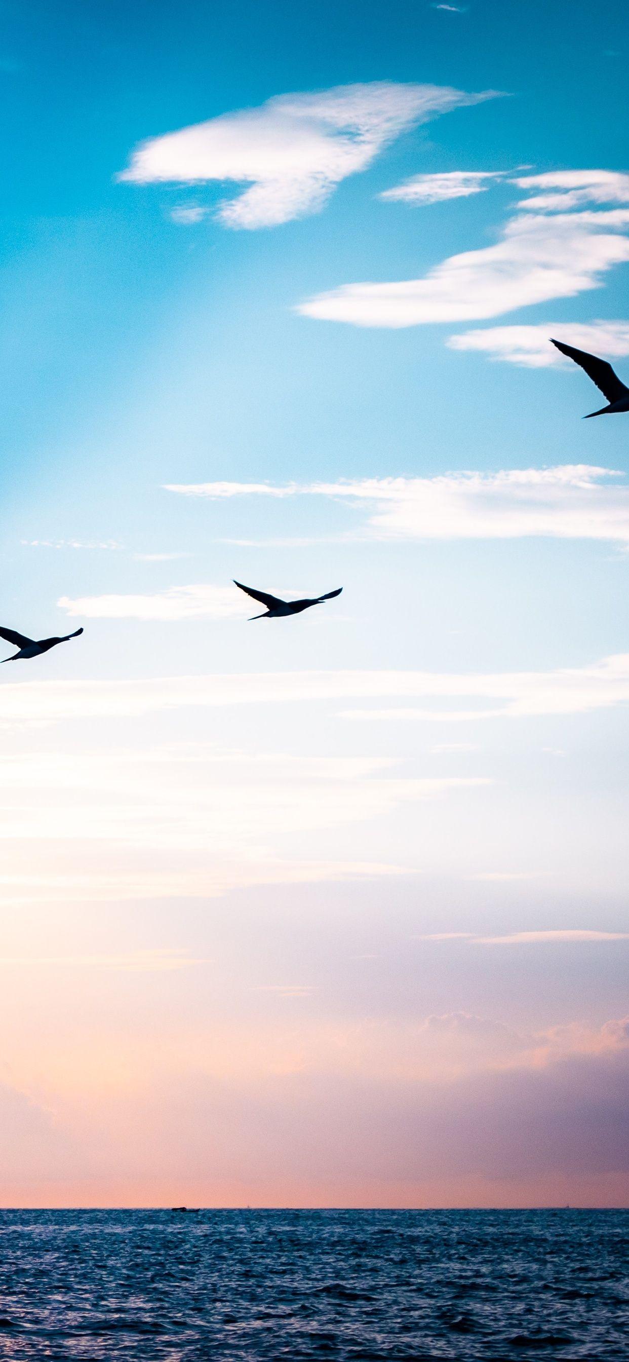 Costa Rica iPhone Wallpapers - Top Free Costa Rica iPhone Backgrounds ...