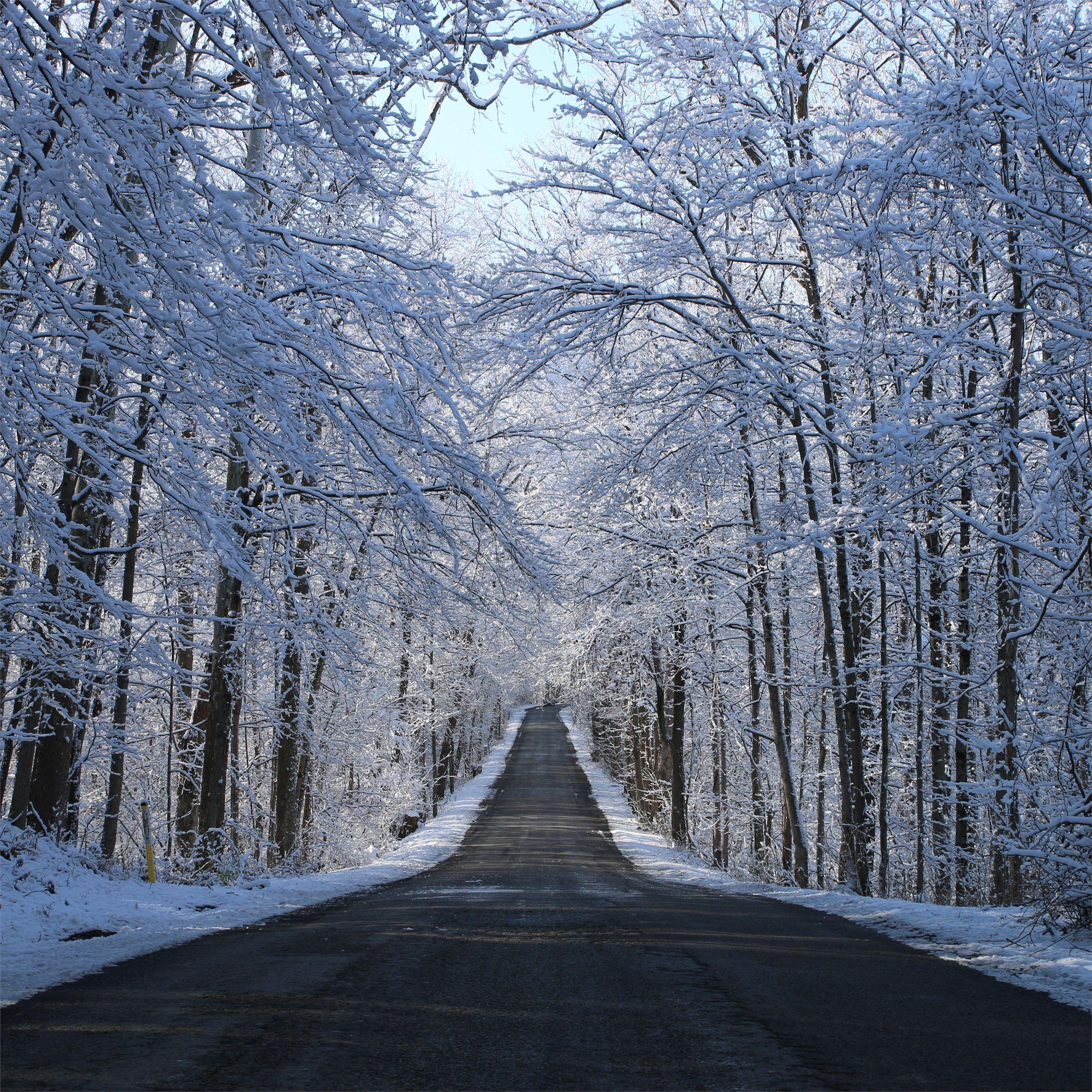 Winter Road Wallpapers - Top Free Winter Road Backgrounds - WallpaperAccess
