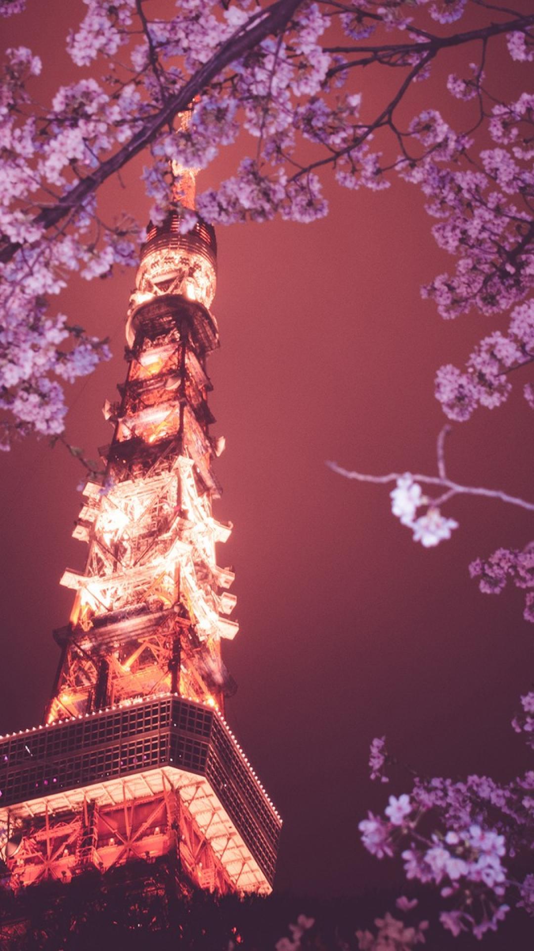 Sakura Phone Wallpapers - Top Free Sakura Phone Backgrounds ...