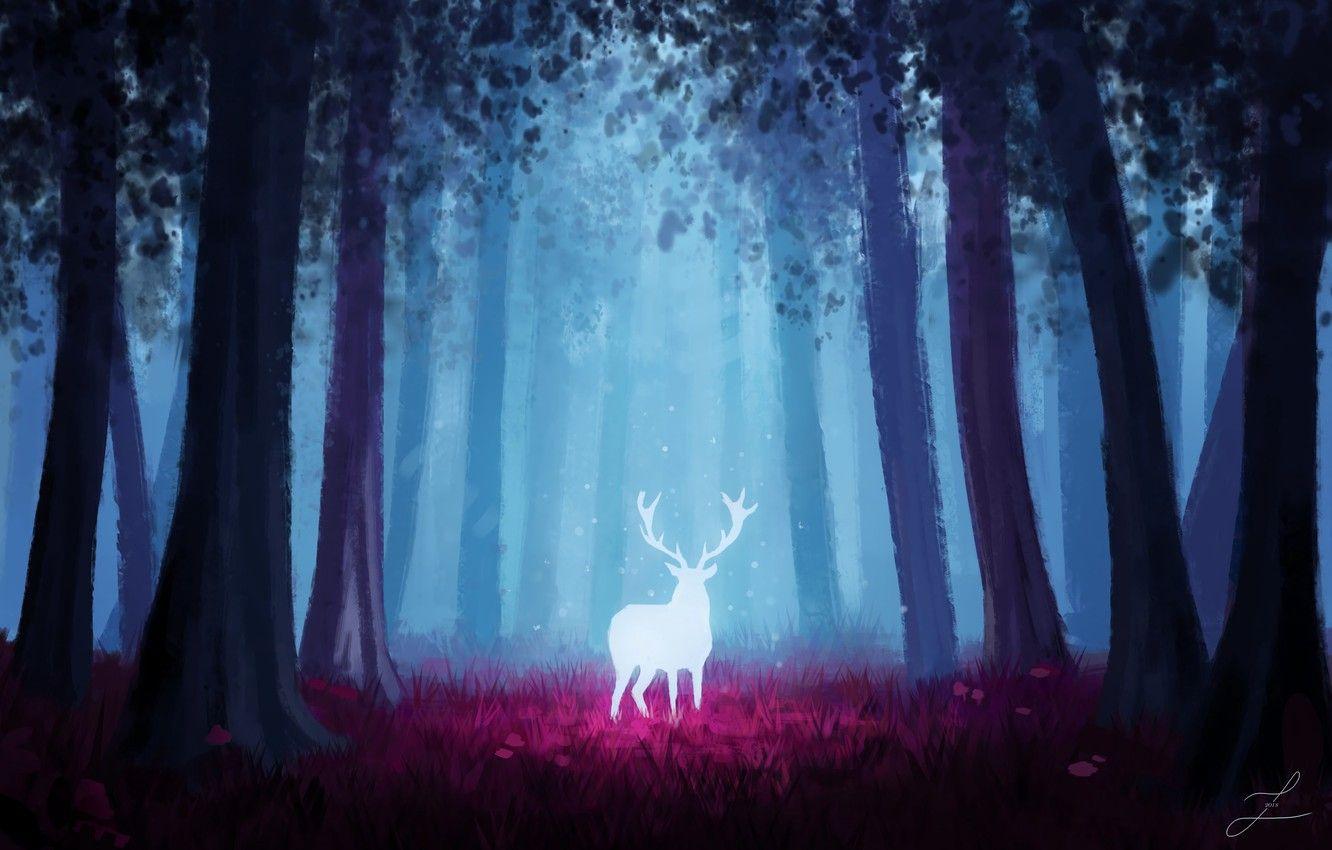 Deer in Forest Wallpapers - Top Free Deer in Forest Backgrounds ...