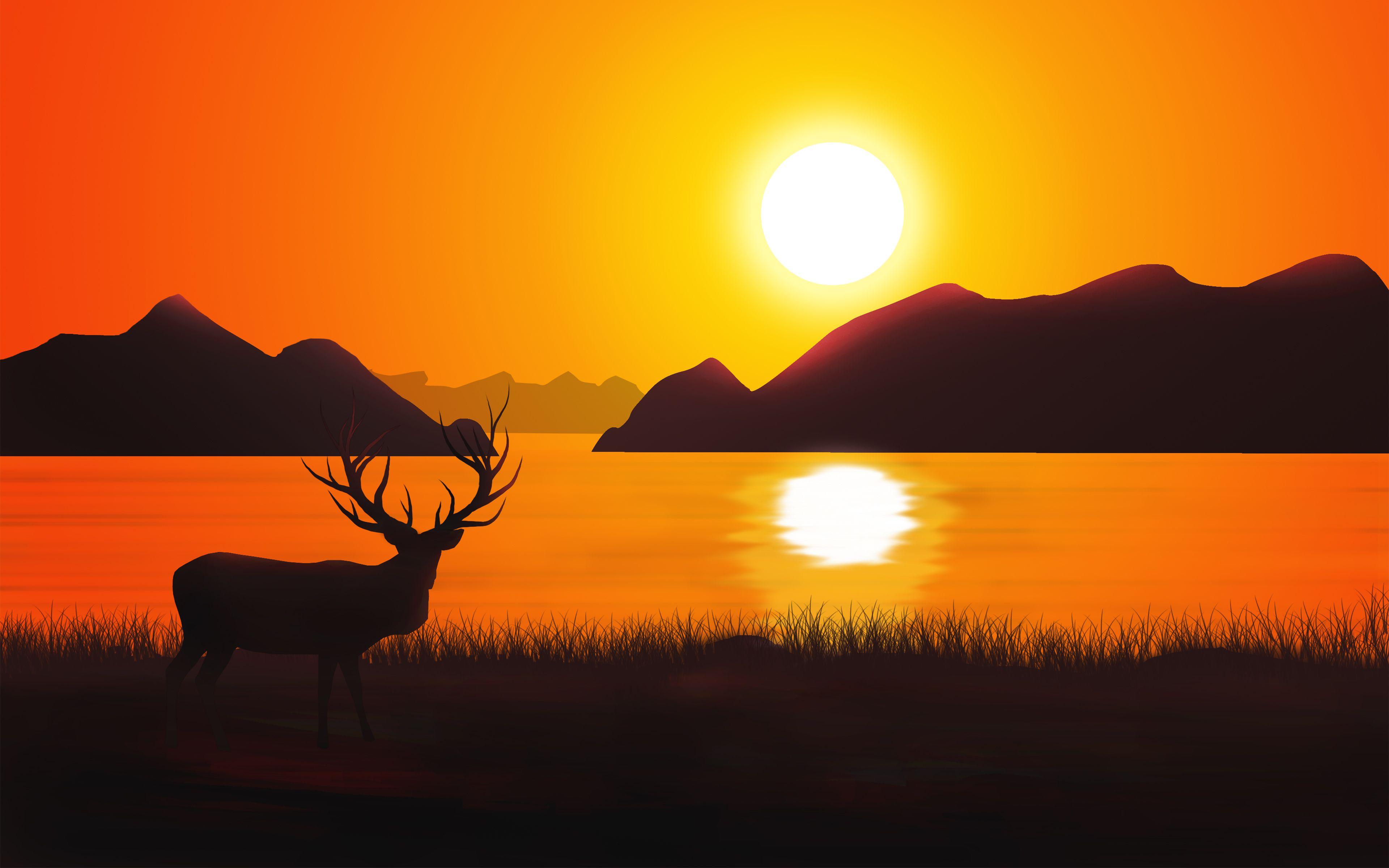 Deer 4K Wallpapers - Top Free Deer 4K Backgrounds - WallpaperAccess