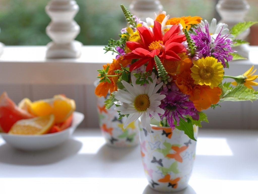 Flower Pot Wallpapers - Top Free Flower Pot Backgrounds - WallpaperAccess