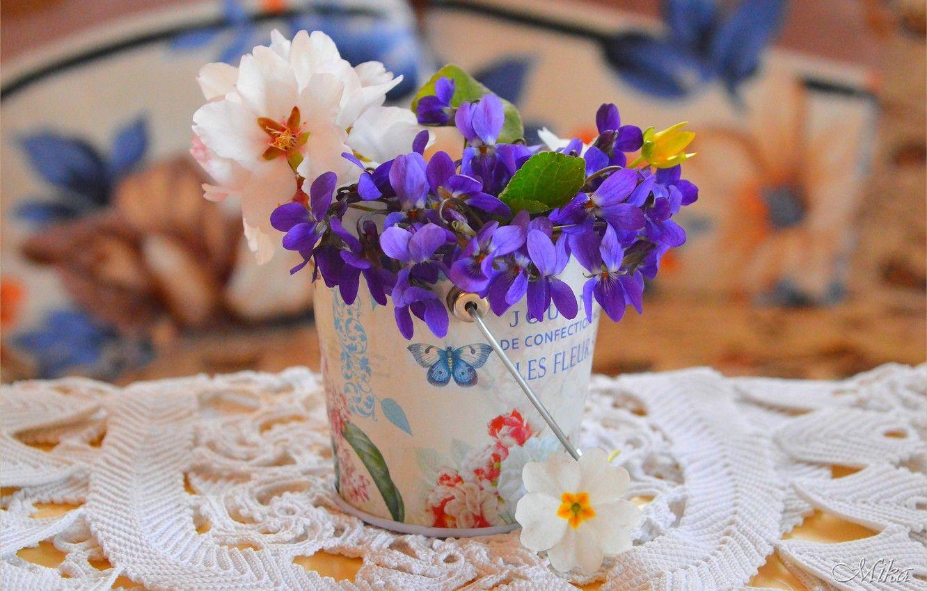 Potted Flowers Wallpapers - Top Free Potted Flowers Backgrounds ...