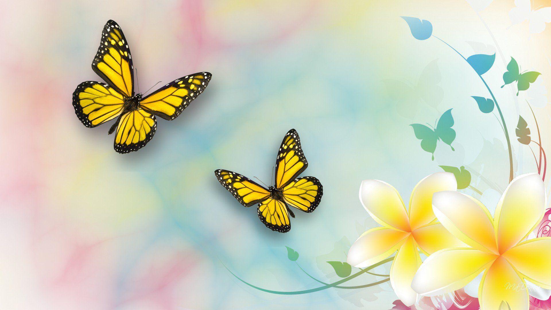 Frangipani Wallpapers - Top Free Frangipani Backgrounds - WallpaperAccess