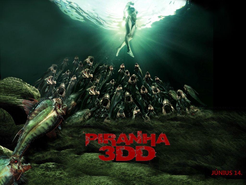 Piranhas Wallpapers - Top Free Piranhas Backgrounds - WallpaperAccess
