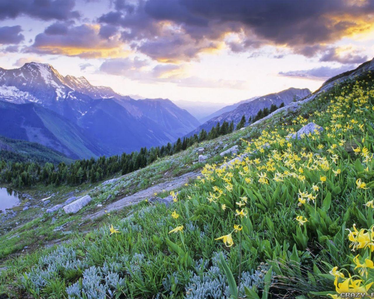 Early Spring Wallpapers - Top Free Early Spring Backgrounds ...