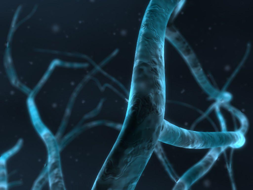 Neurology Wallpapers - Top Free Neurology Backgrounds - WallpaperAccess