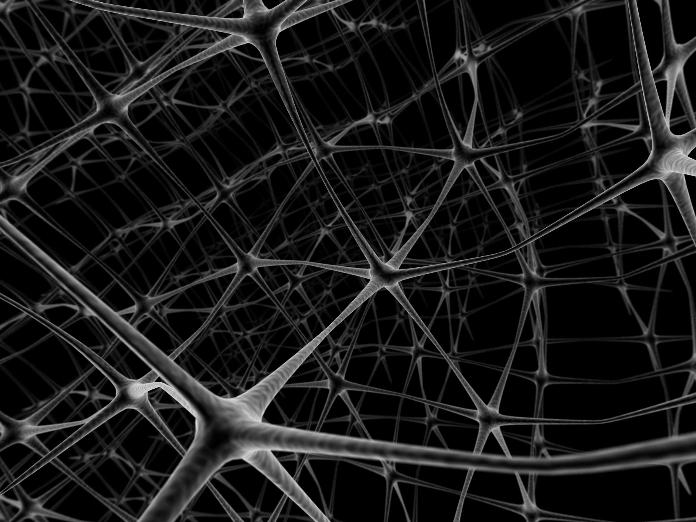 Neurology Wallpapers - Top Free Neurology Backgrounds - WallpaperAccess