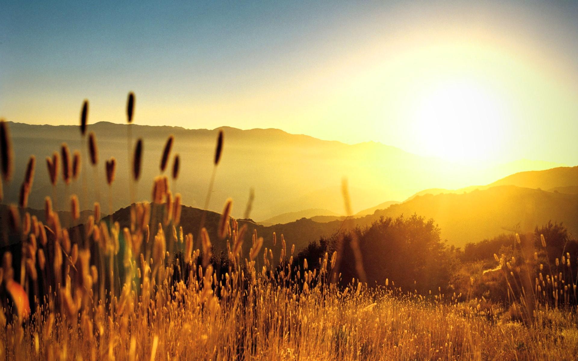 Sun Nature Wallpapers - Top Free Sun Nature Backgrounds - WallpaperAccess