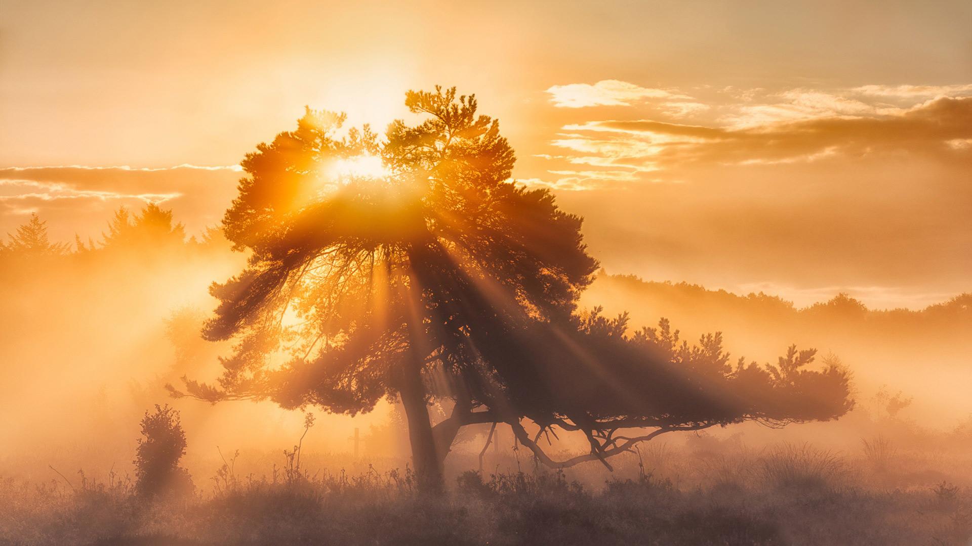 Sun Nature Wallpapers - Top Free Sun Nature Backgrounds - WallpaperAccess