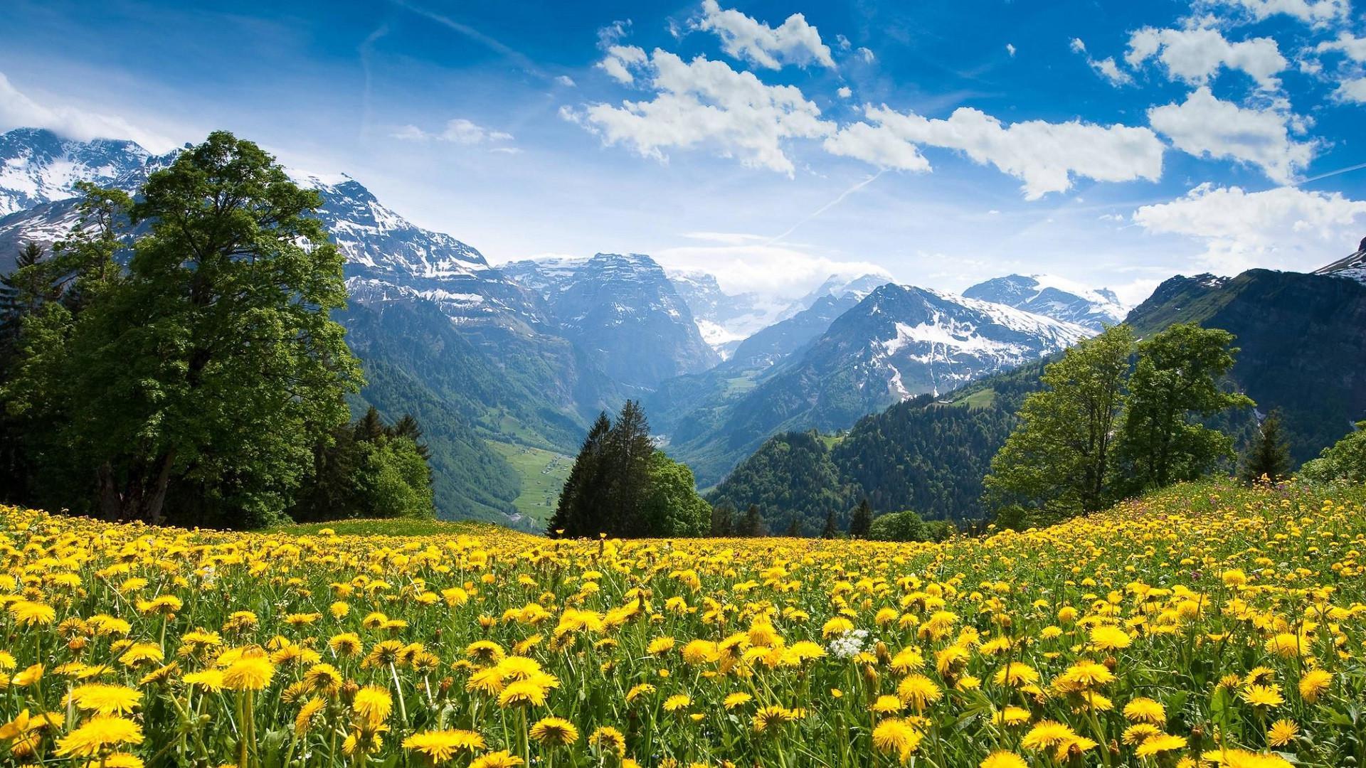 Switzerland Spring Wallpapers - Top Free Switzerland Spring Backgrounds ...
