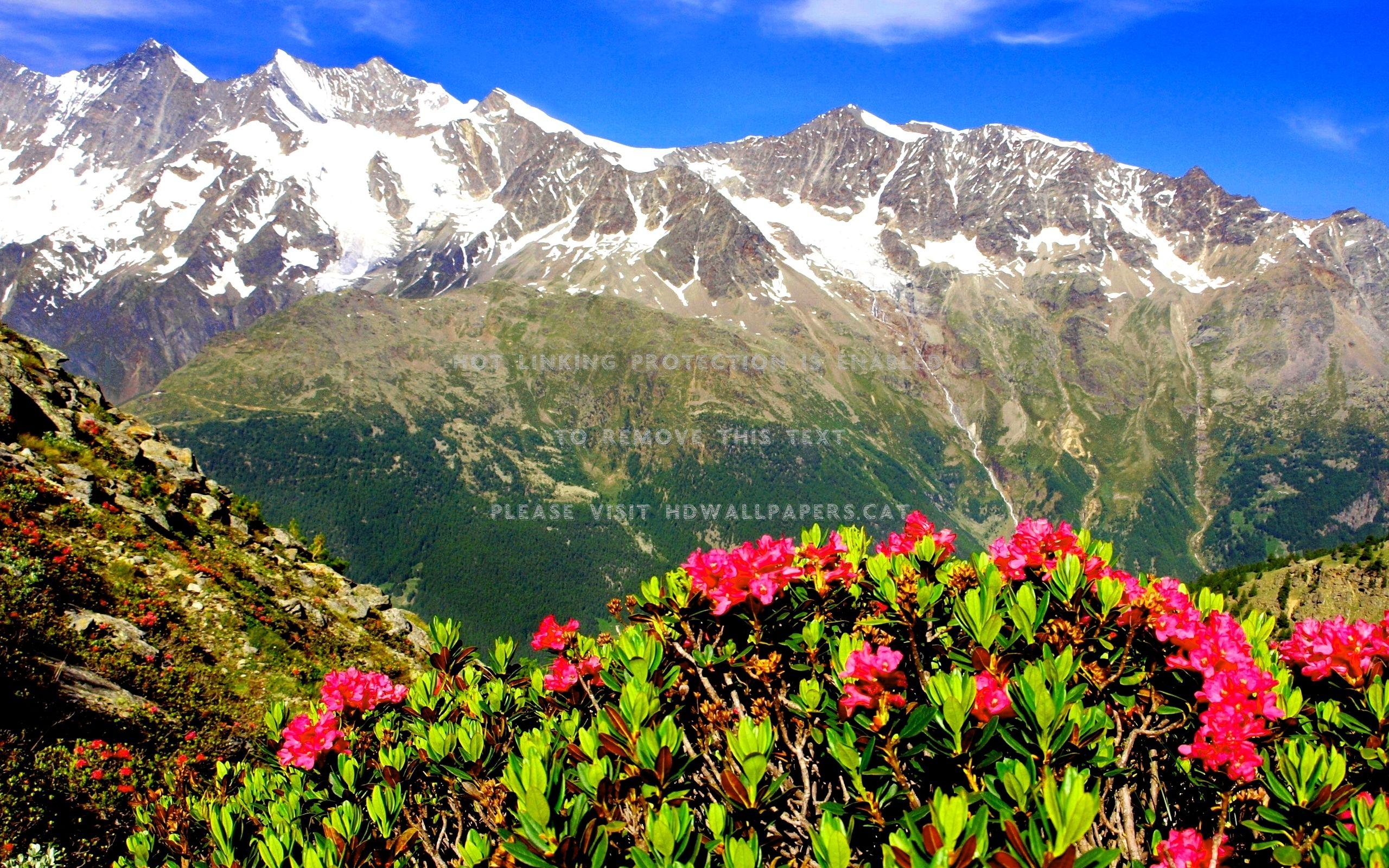 Switzerland Spring Wallpapers - Top Free Switzerland Spring Backgrounds ...