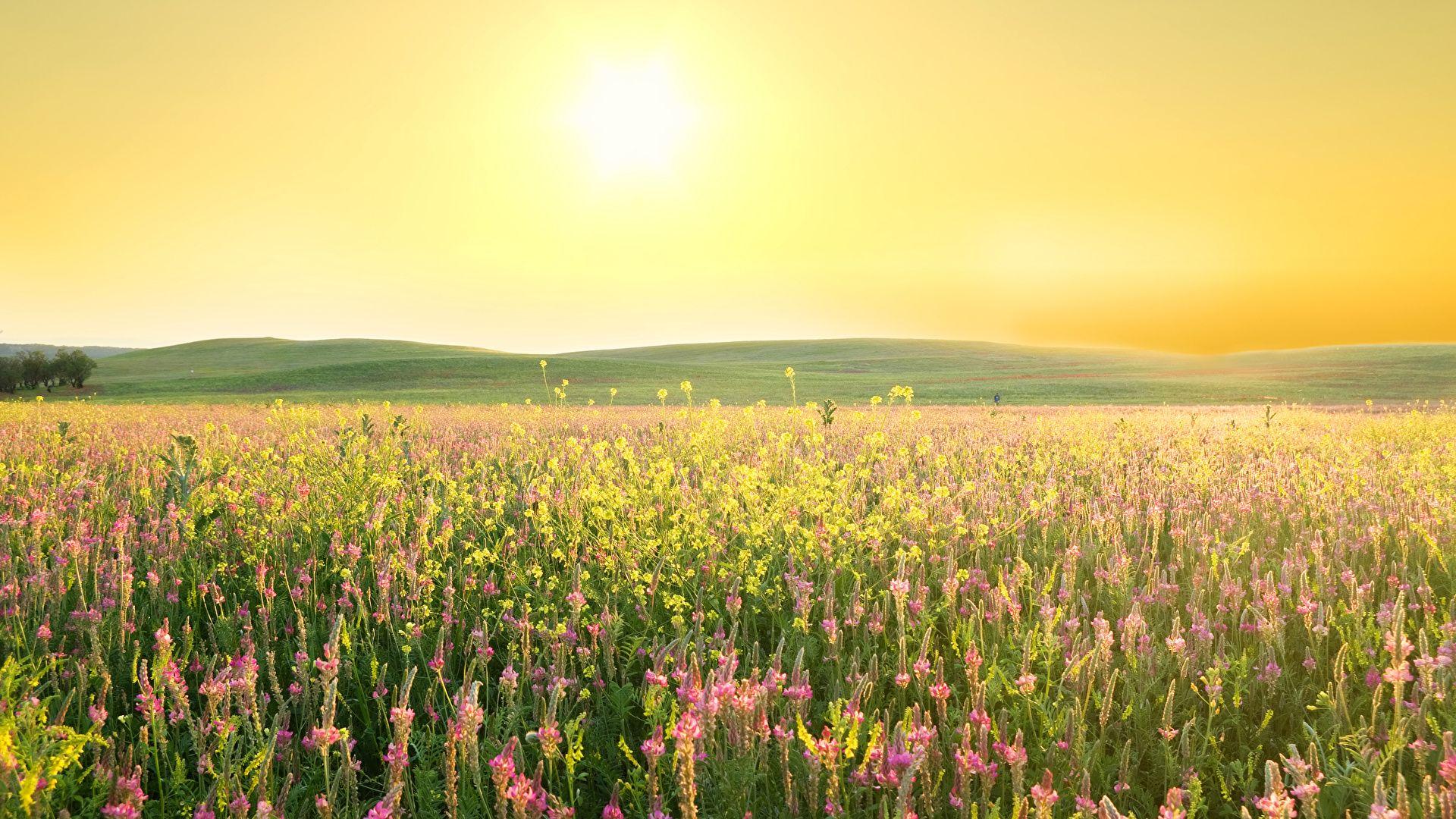 Sun Nature Wallpapers - Top Free Sun Nature Backgrounds - WallpaperAccess