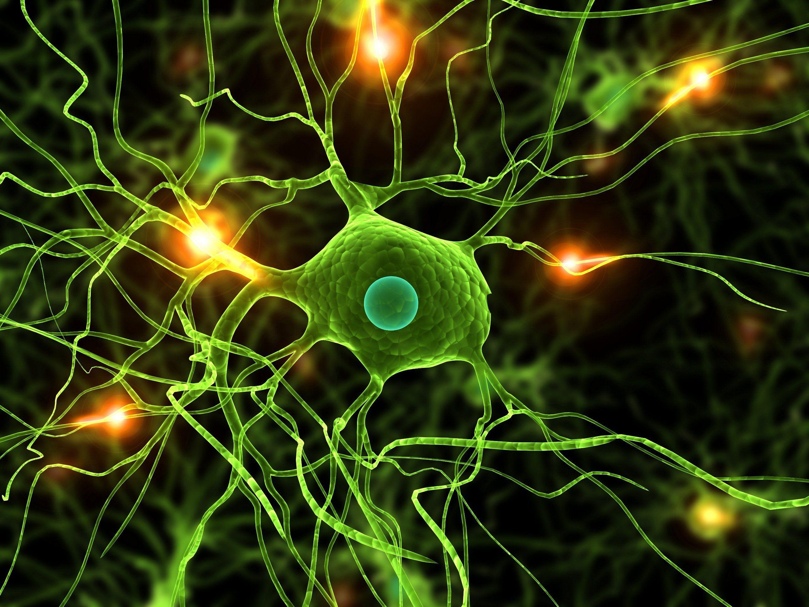 Neurology Wallpapers - Top Free Neurology Backgrounds - WallpaperAccess