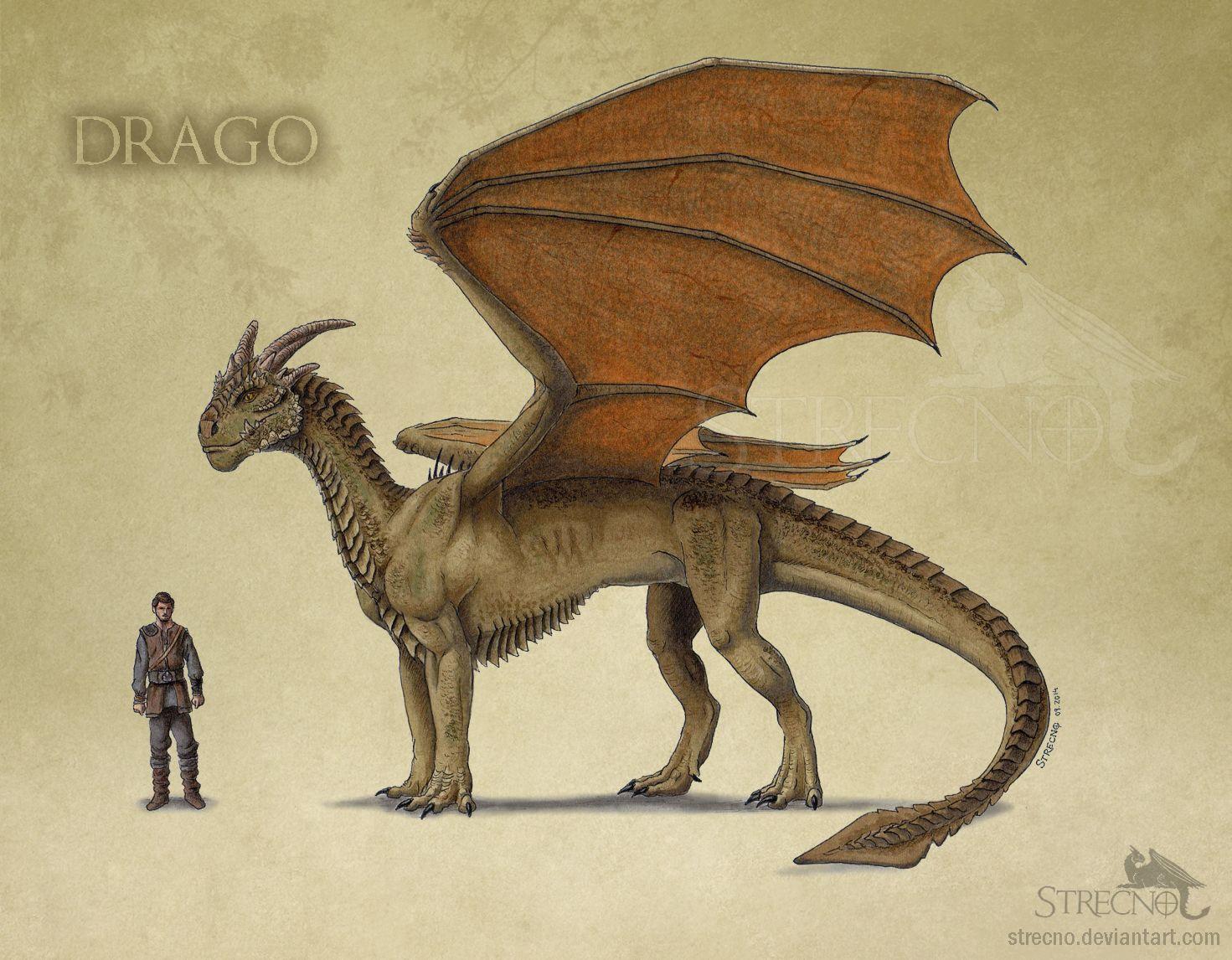 Dragonheart Wallpapers - Top Free Dragonheart Backgrounds - WallpaperAccess