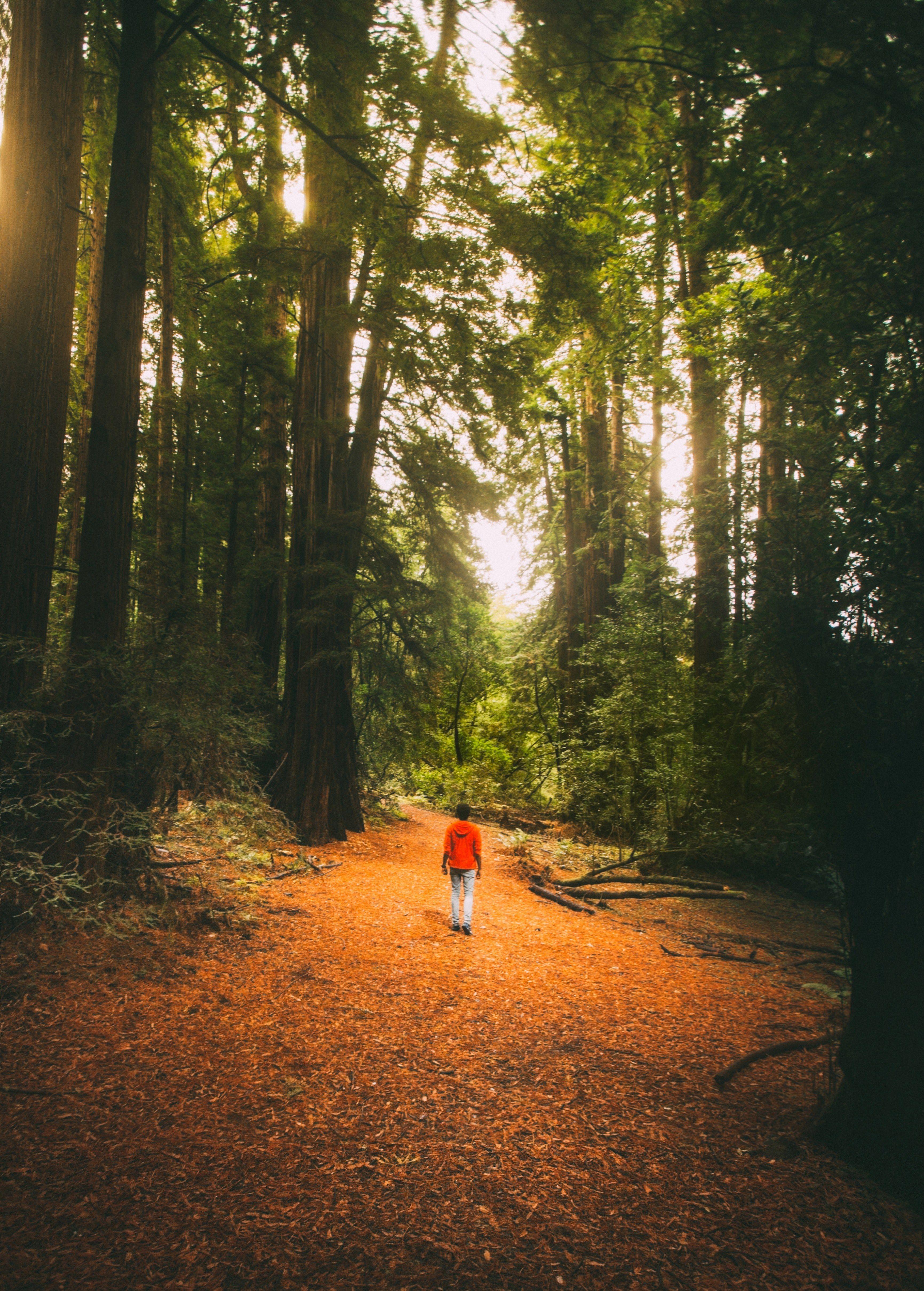 Wide Angle Wallpapers - Top Free Wide Angle Backgrounds - WallpaperAccess