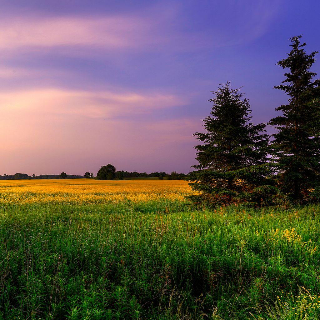 65 Best Free 16K Resolution Wallpapers - WallpaperAccess