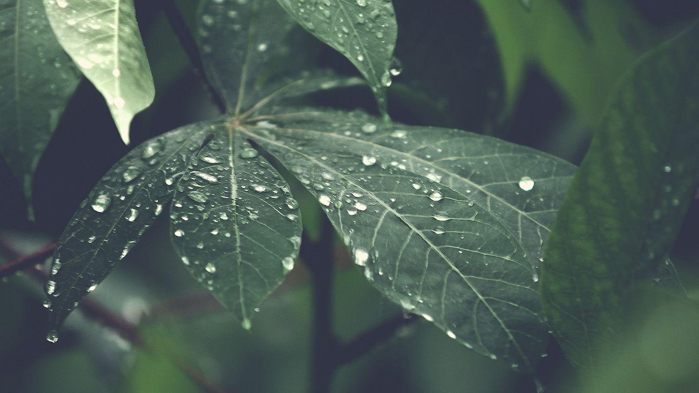 Laptop Rain Wallpapers - Top Free Laptop Rain Backgrounds - WallpaperAccess