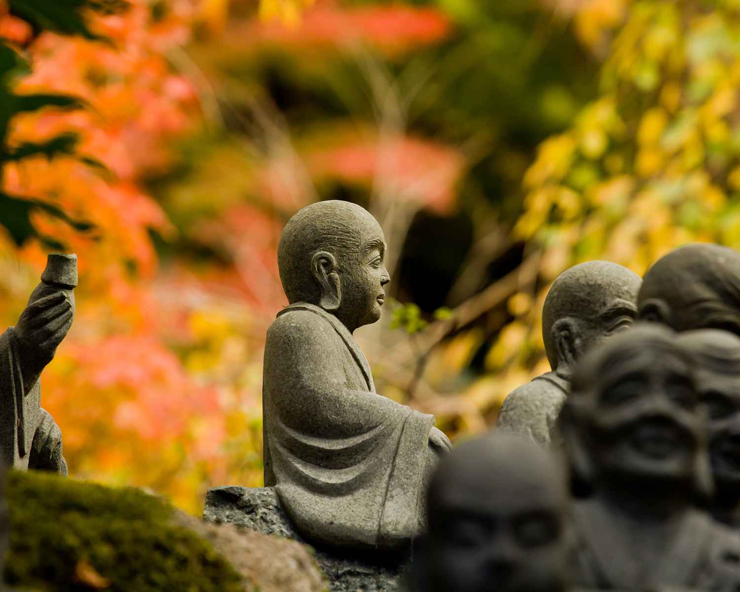 Buddha Garden Wallpapers - Top Free Buddha Garden Backgrounds ...
