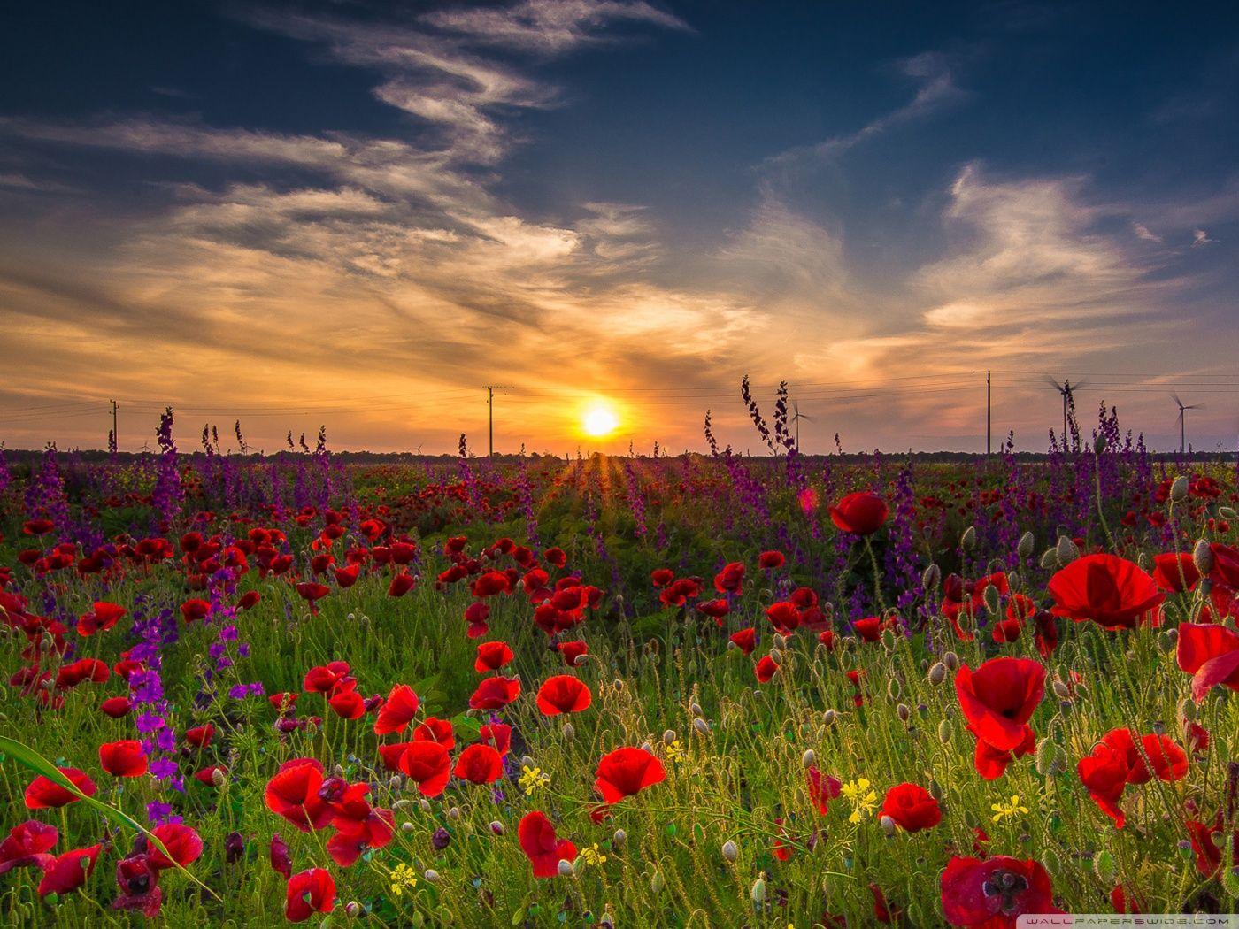 HD Horizontal Wallpapers - Top Free HD Horizontal Backgrounds ...