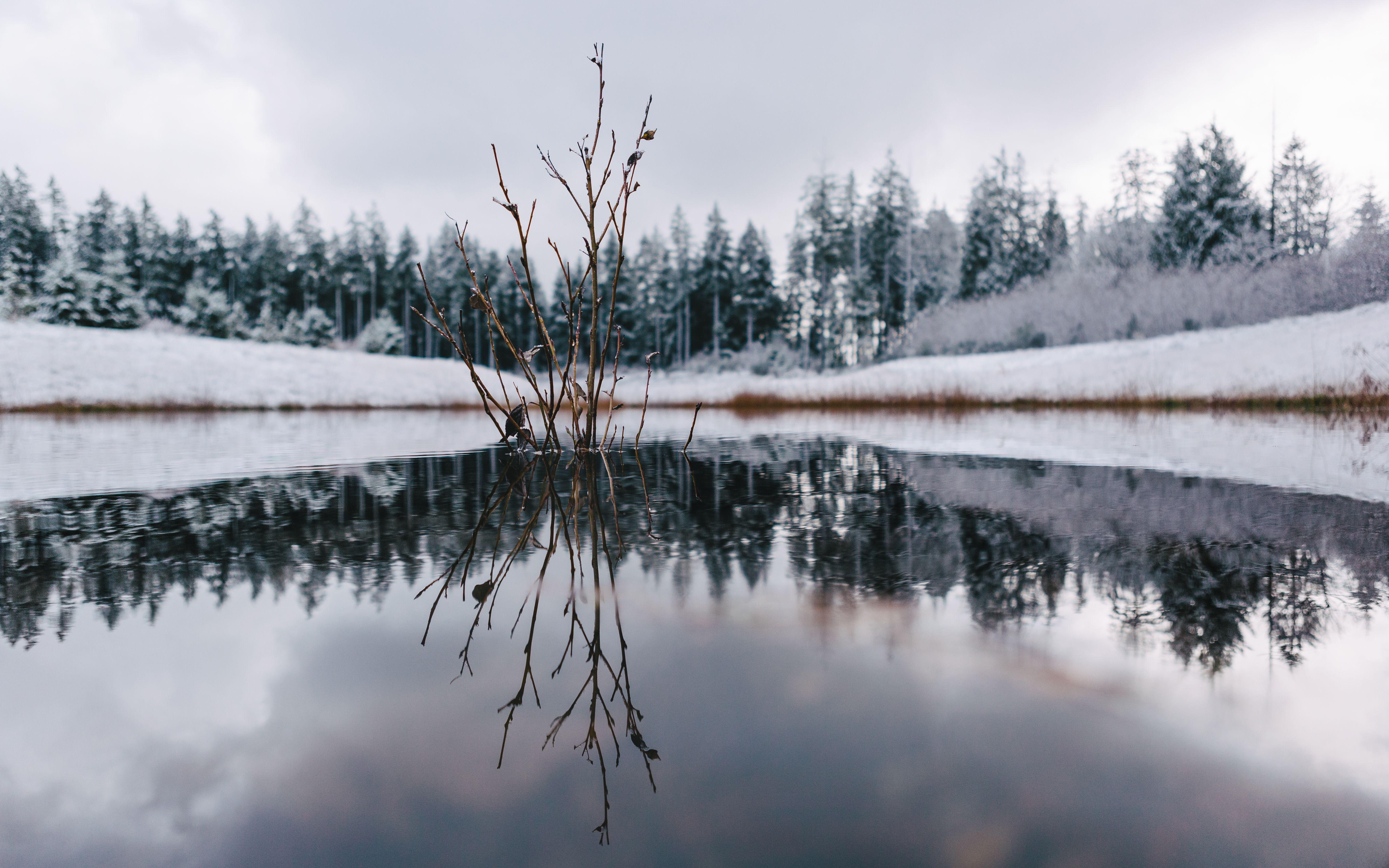 Pacific Northwest Landscape Wallpapers - Top Free Pacific Northwest ...