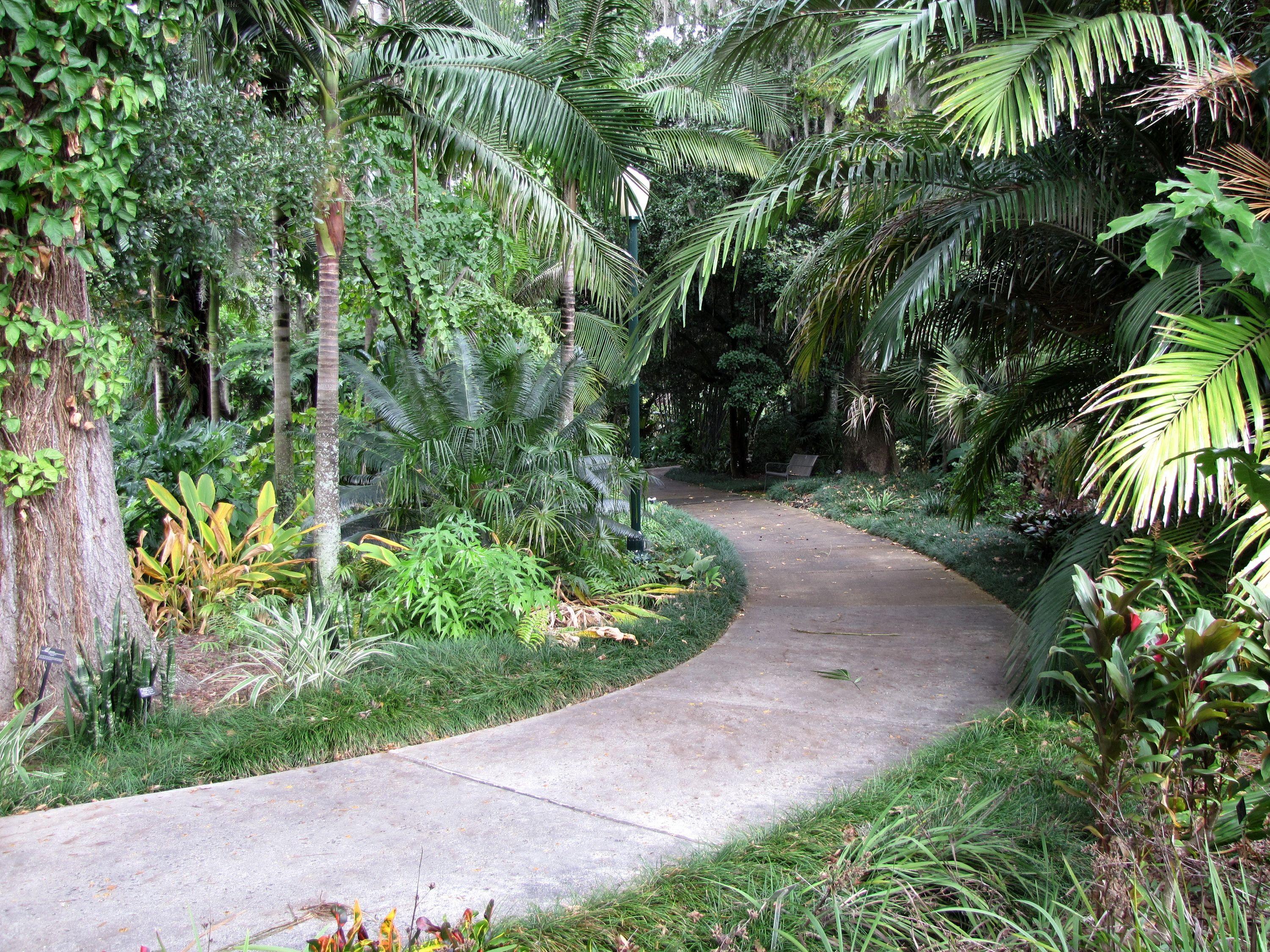 Orlando Florida Wallpapers - Top Free Orlando Florida Backgrounds ...