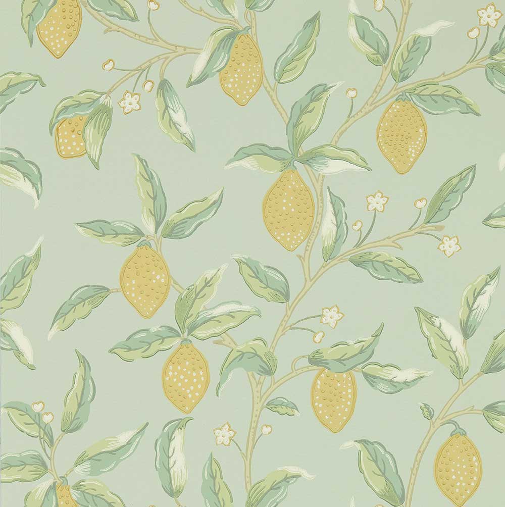 Lemon Tree Wallpapers - Top Free Lemon Tree Backgrounds - WallpaperAccess
