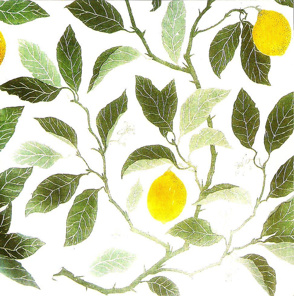 Lemon Tree Wallpapers - Top Free Lemon Tree Backgrounds - WallpaperAccess
