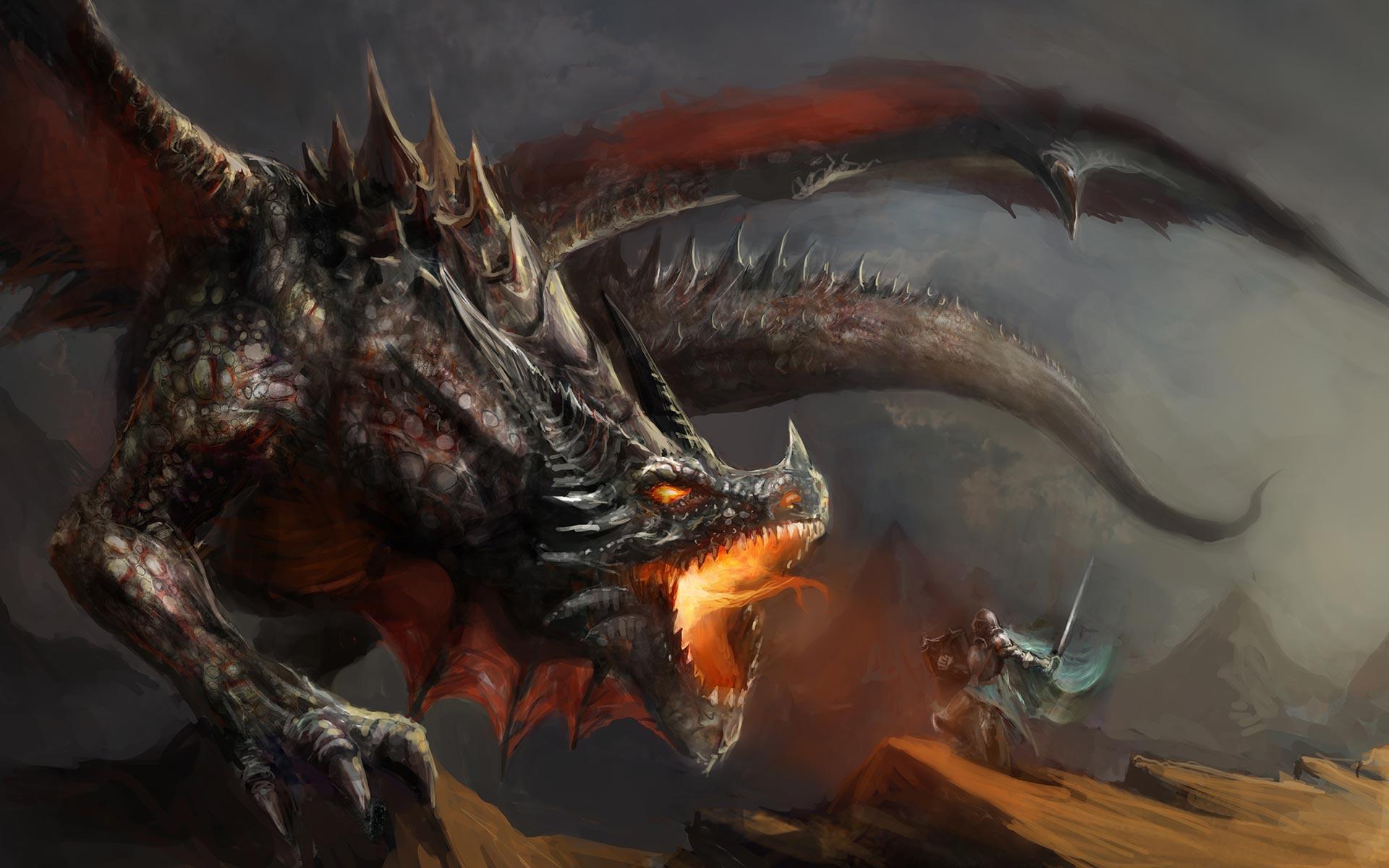 Dragon vs Knight Wallpapers - Top Free Dragon vs Knight Backgrounds ...