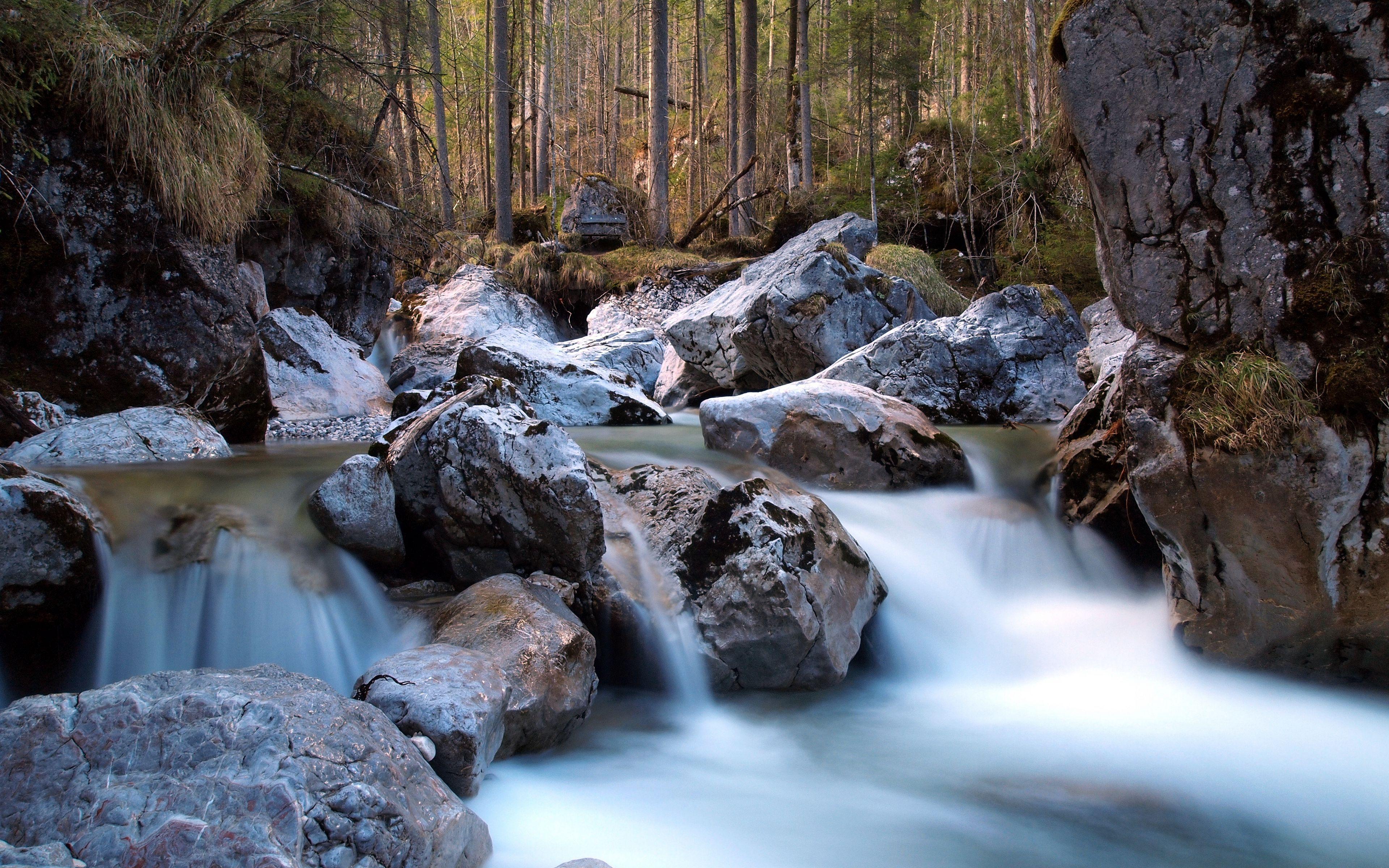 Forest Creek 4K Wallpapers - Top Free Forest Creek 4K Backgrounds ...