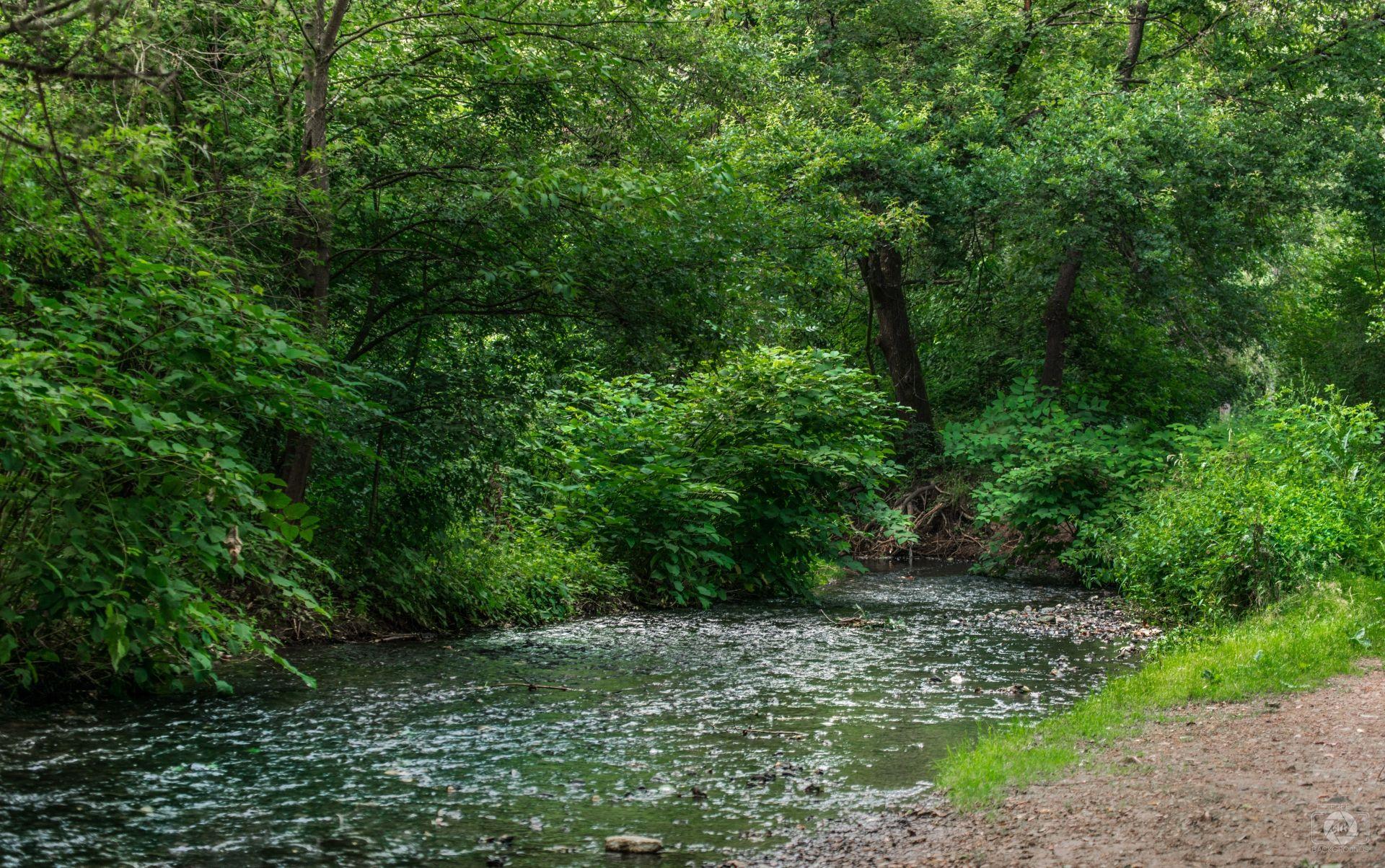 Forest Creek 4K Wallpapers - Top Free Forest Creek 4K Backgrounds ...