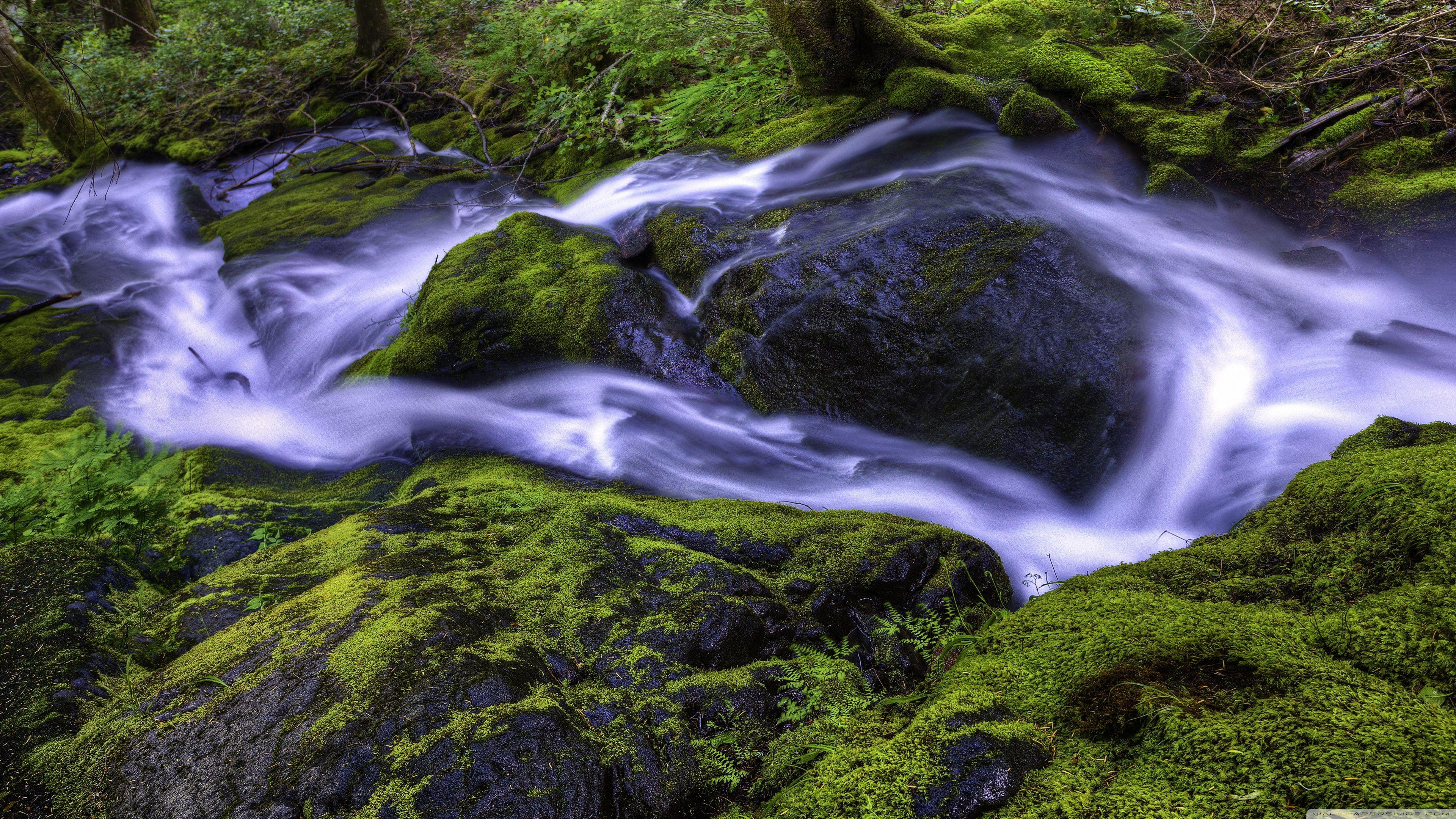 Forest Creek 4K Wallpapers - Top Free Forest Creek 4K Backgrounds ...