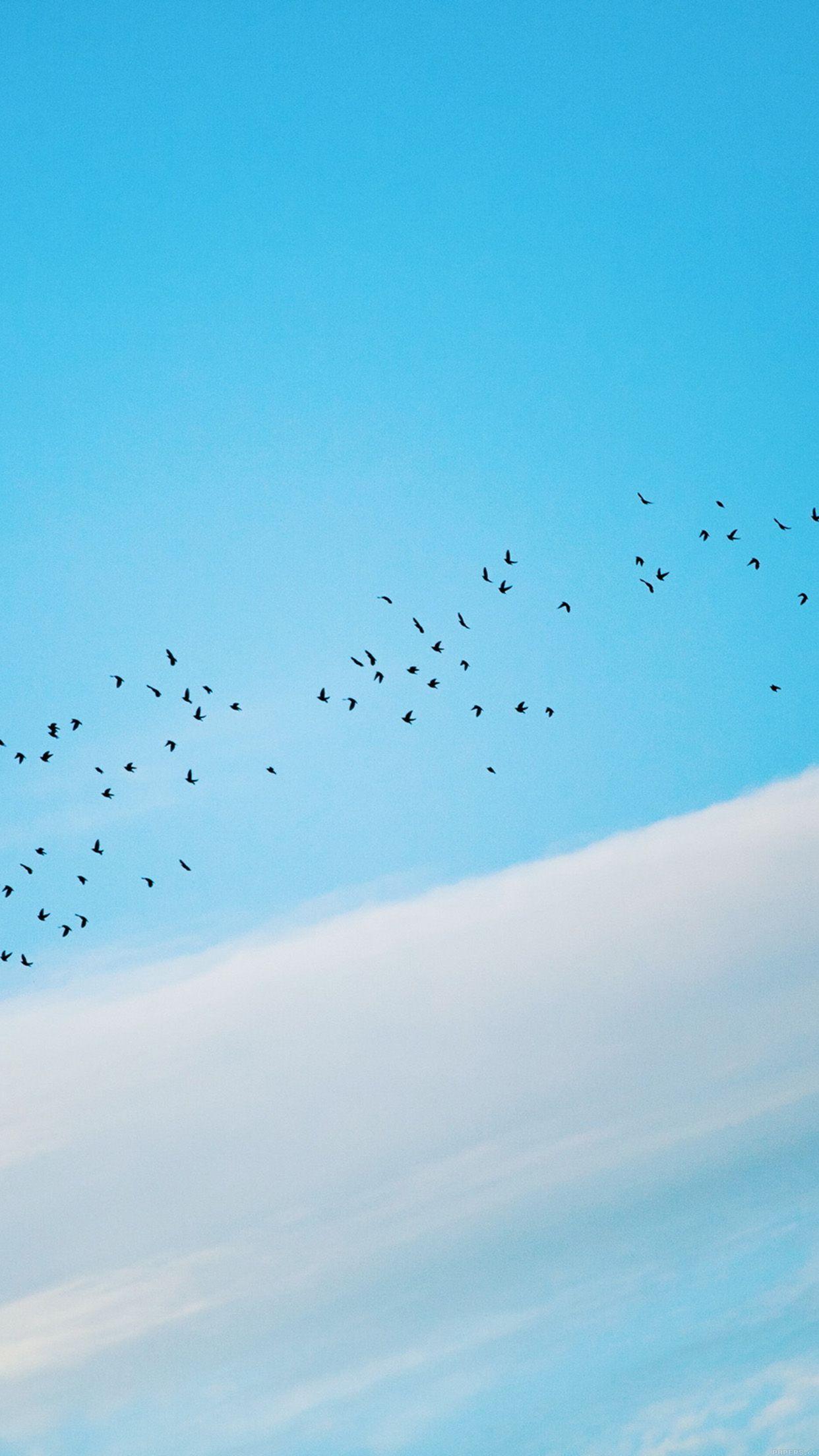 Fly iPhone Wallpapers - Top Free Fly iPhone Backgrounds - WallpaperAccess