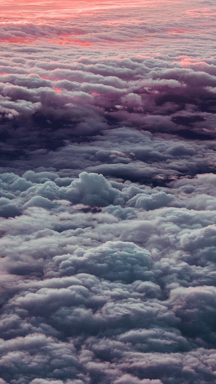 Fly iPhone Wallpapers - Top Free Fly iPhone Backgrounds - WallpaperAccess