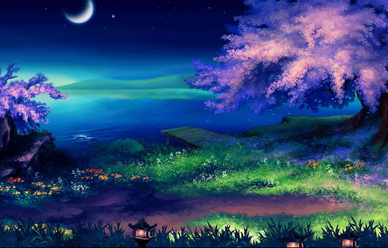 Sakura Night Wallpapers - Top Free Sakura Night Backgrounds ...