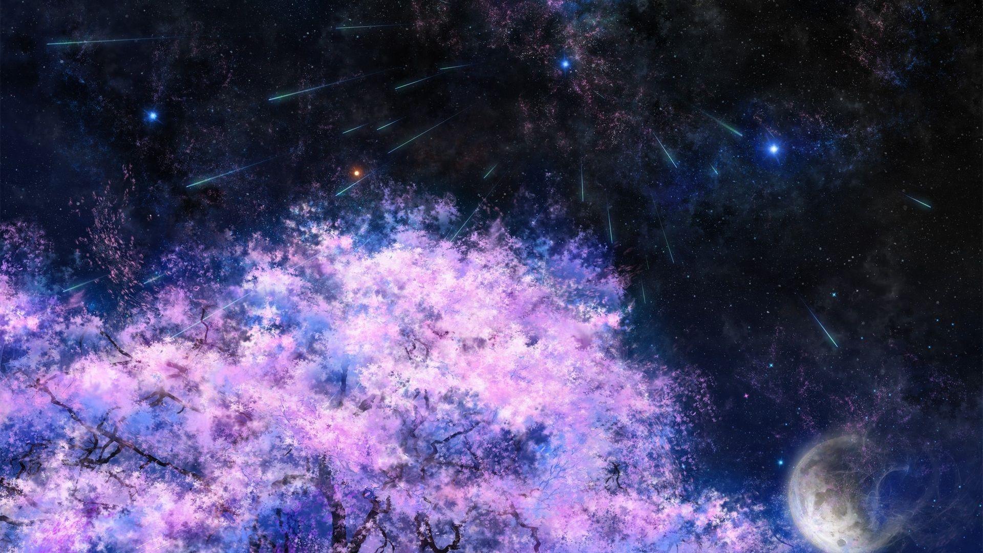 Sakura Night Wallpapers - Top Free Sakura Night Backgrounds ...