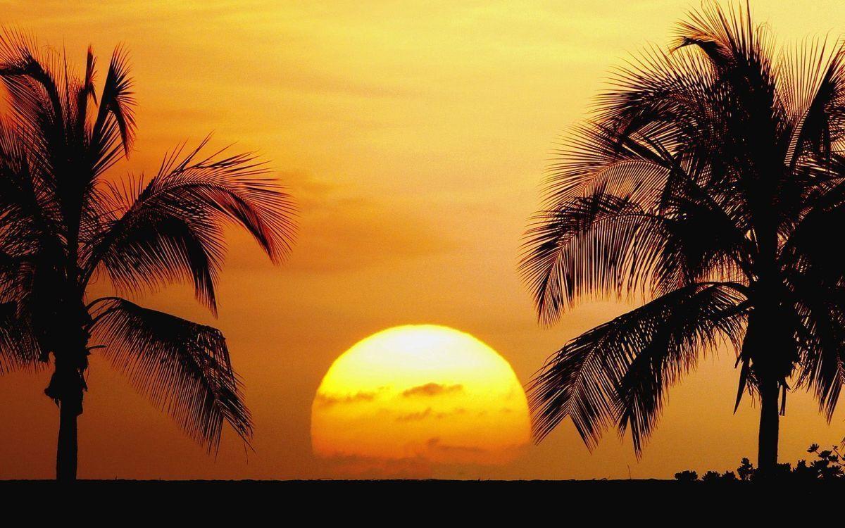Yellow Sunset Wallpapers - Top Free Yellow Sunset Backgrounds ...