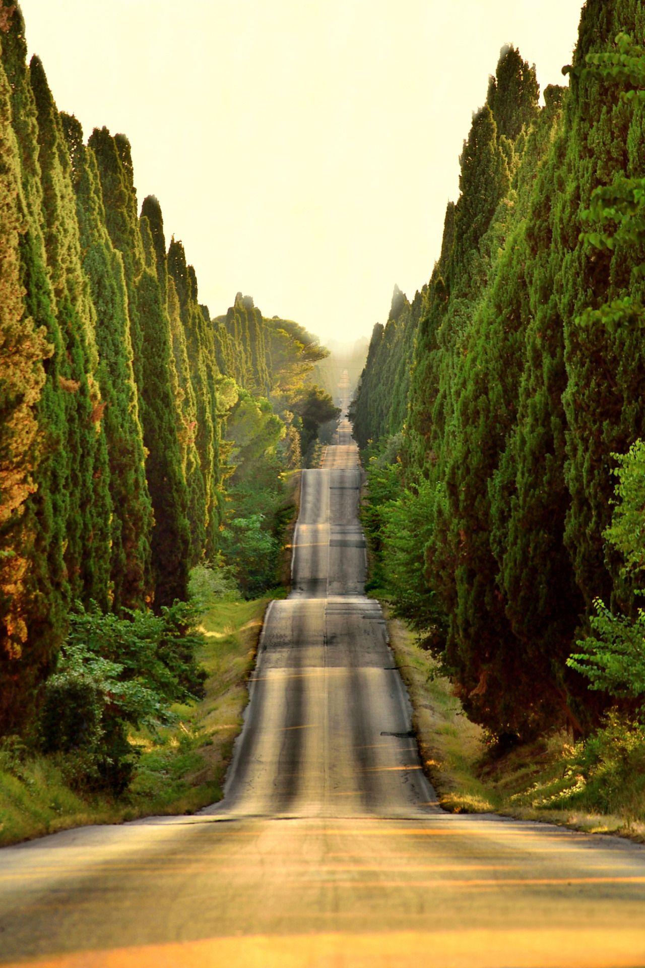 Green Road Wallpapers Top Free Green Road Backgrounds Wallpaperaccess