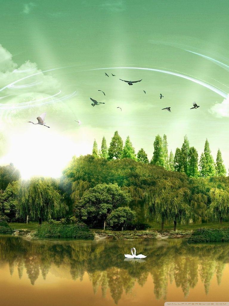 Island Phone Wallpapers - Top Free Island Phone Backgrounds ...