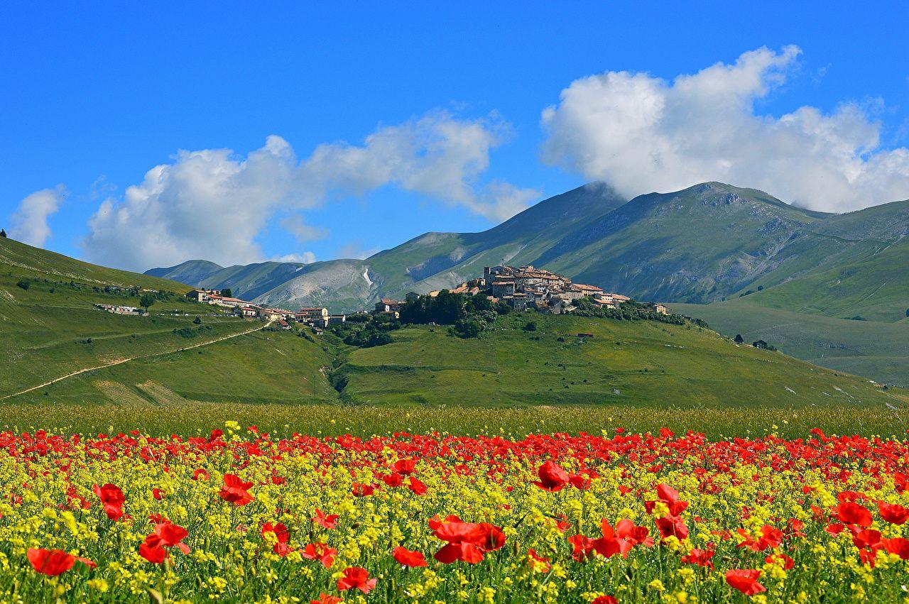 Italy Flowers Wallpapers - Top Free Italy Flowers Backgrounds ...