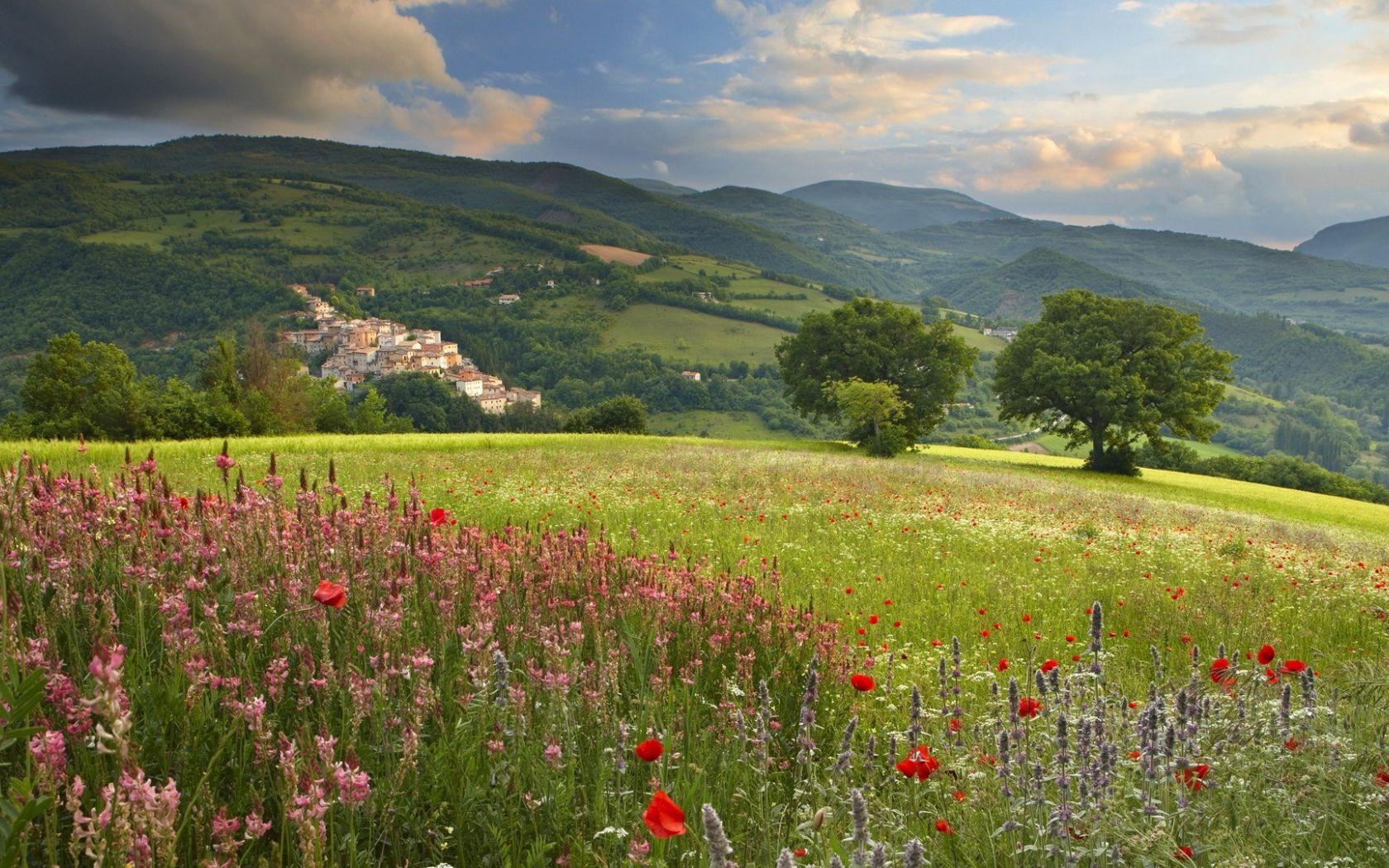 Italy Flowers Wallpapers - Top Free Italy Flowers Backgrounds ...