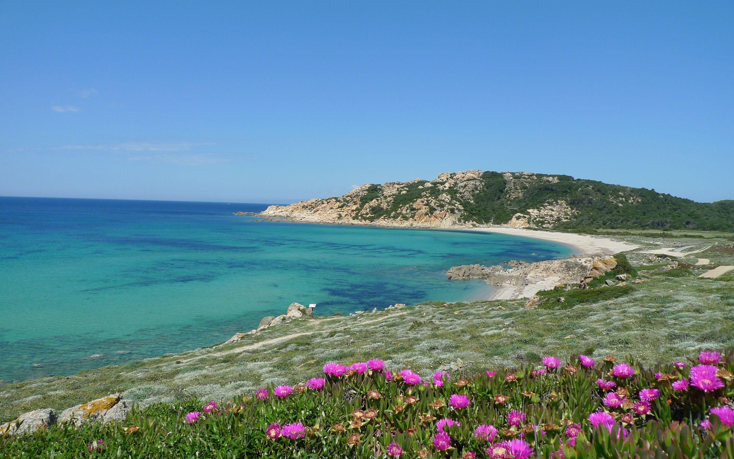 Italy Flowers Wallpapers - Top Free Italy Flowers Backgrounds ...