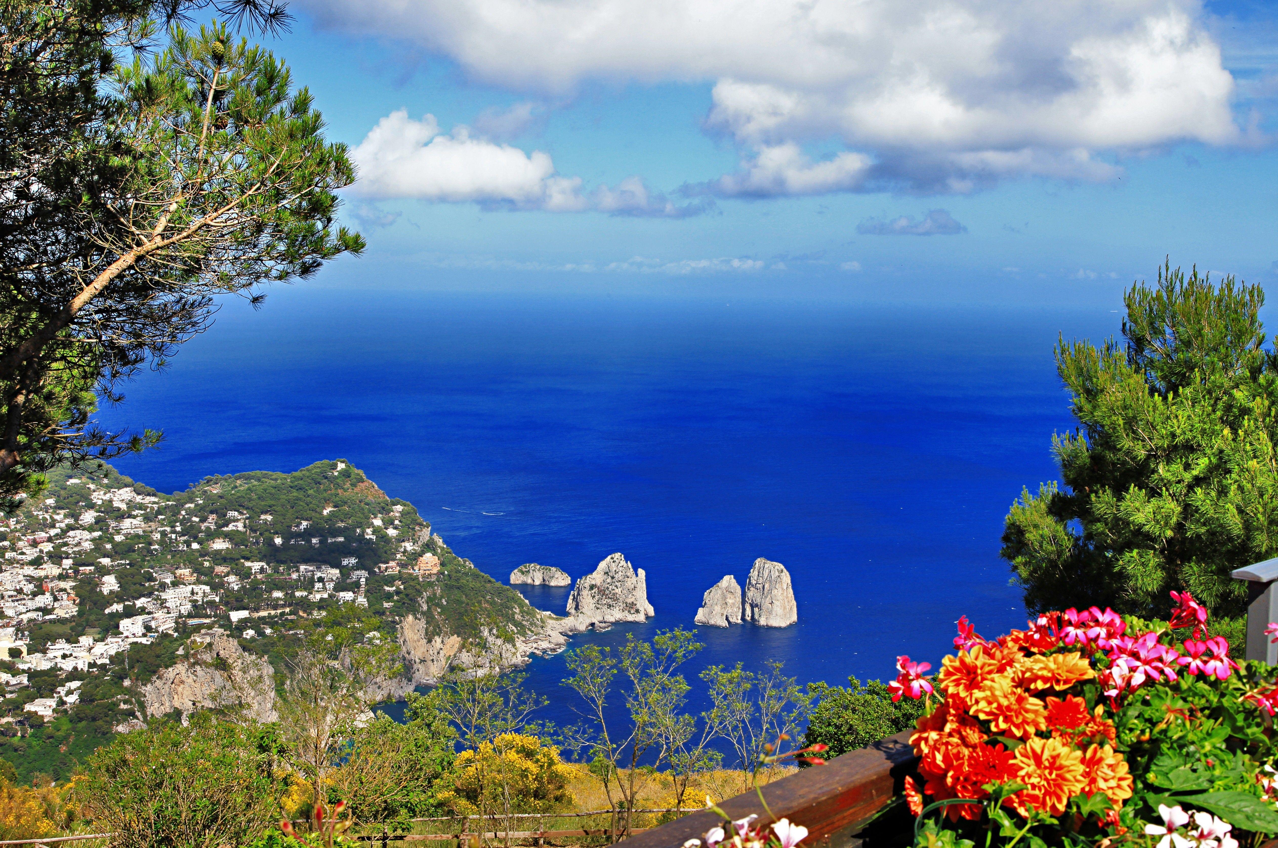 Italy Flowers Wallpapers - Top Free Italy Flowers Backgrounds ...