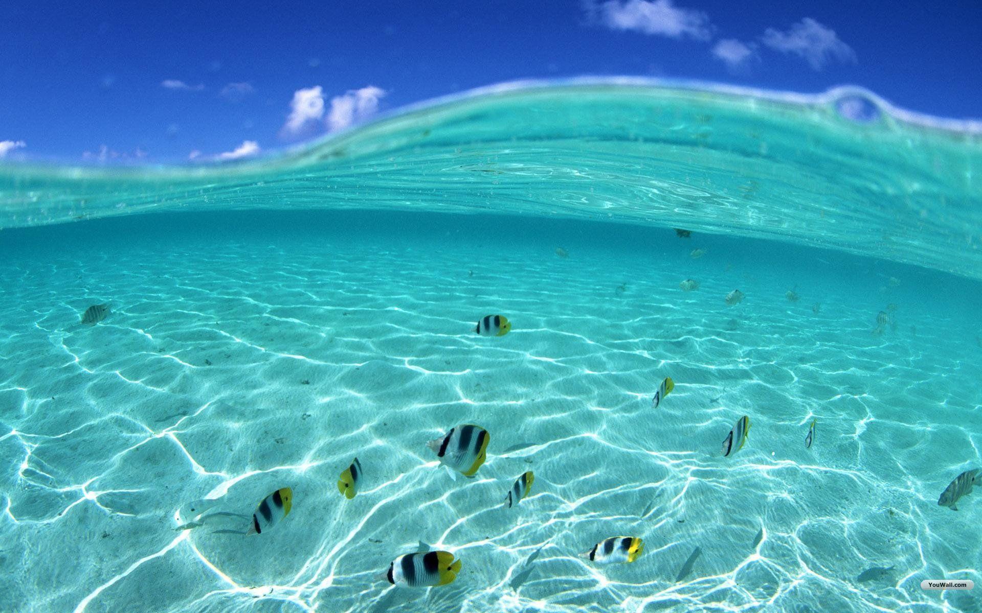 Sea Full HD Wallpapers - Top Free Sea Full HD Backgrounds - WallpaperAccess